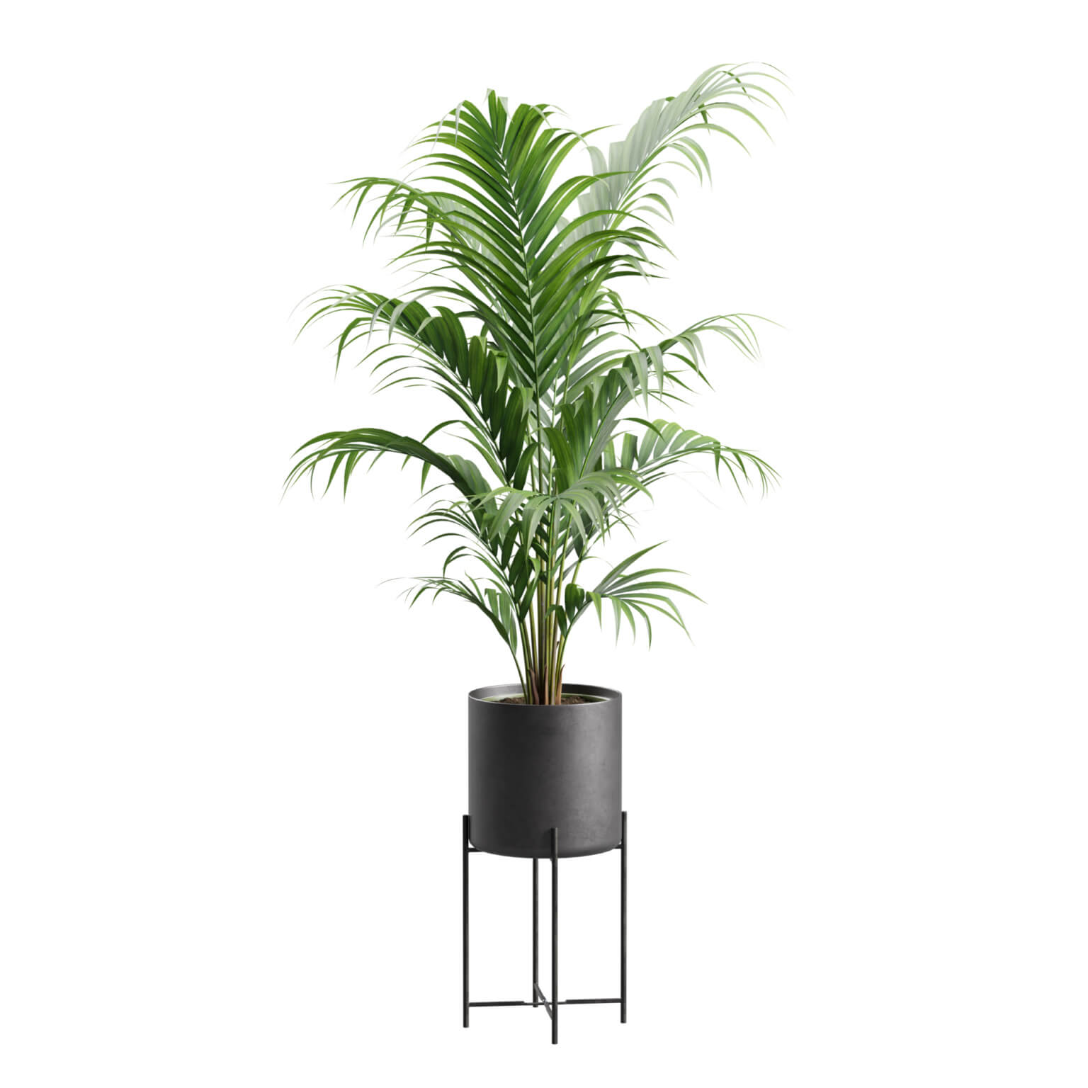 Majesty Palm Metal Stand - 3D Model by AllQuad