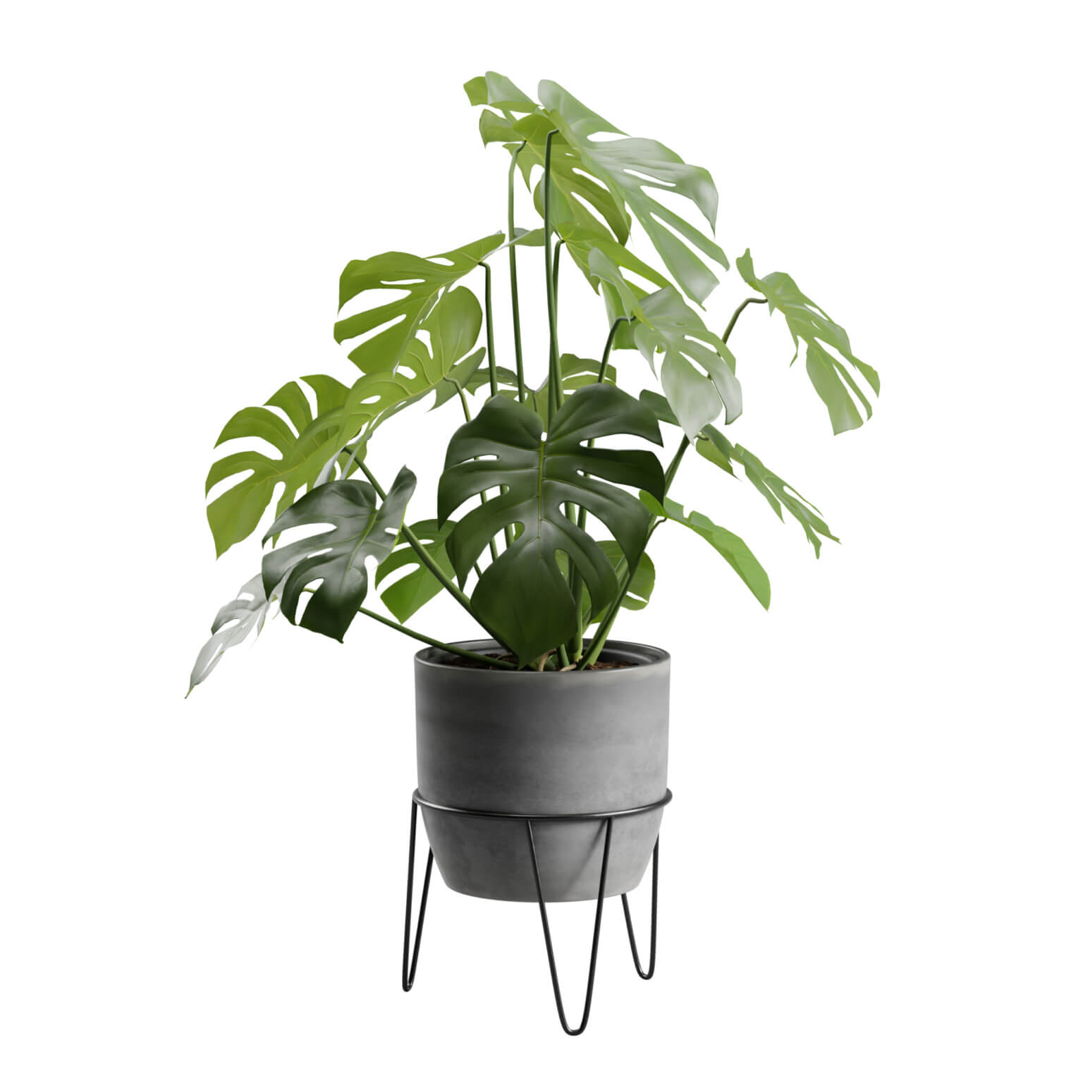 Monstera Deliciosa Pot Stand - 3D Model by AllQuad