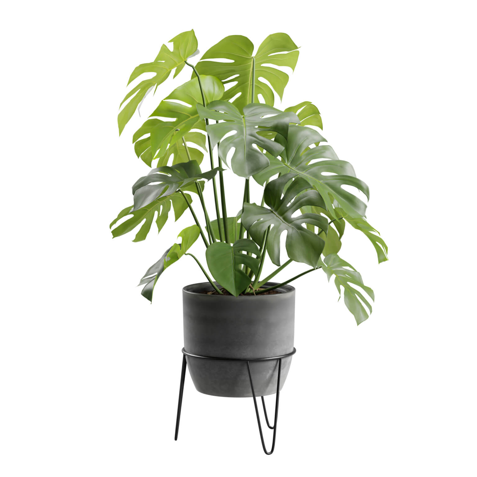 Monstera Deliciosa Pot Stand - 3D Model by AllQuad