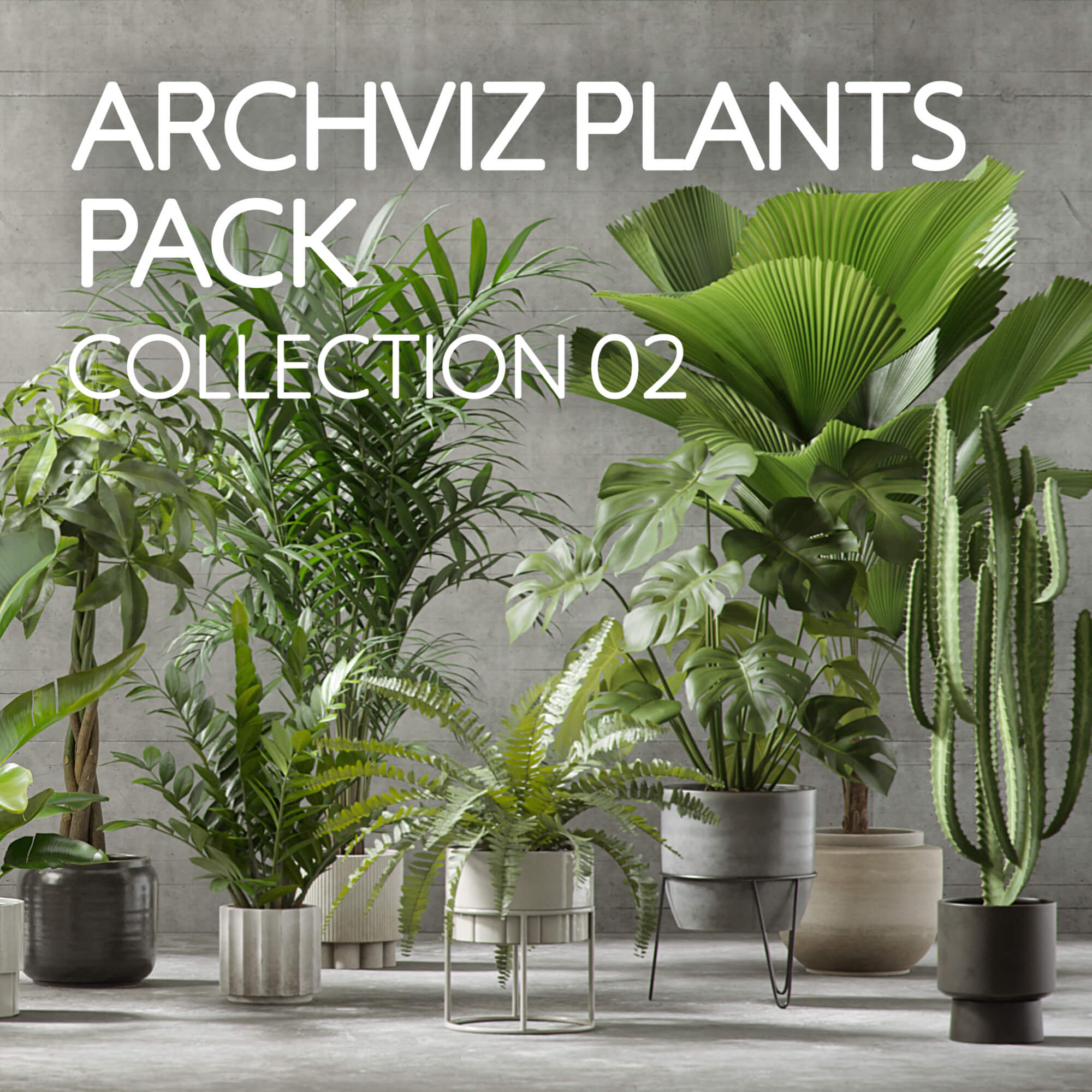 Plants Collection for Archviz 02 - 3D Model by AllQuad