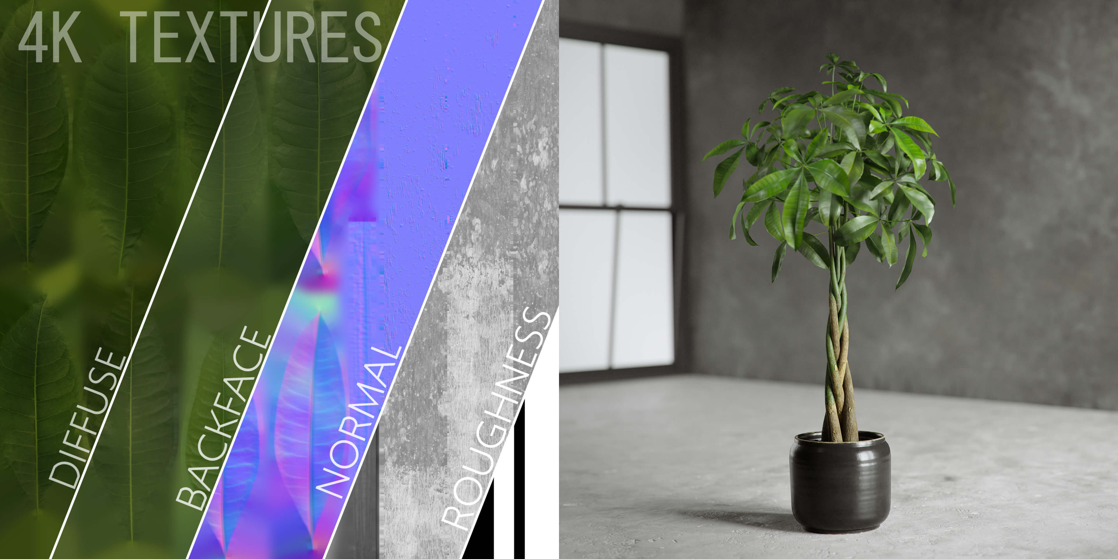 Plants Collection for Archviz 02 - 3D Model by AllQuad