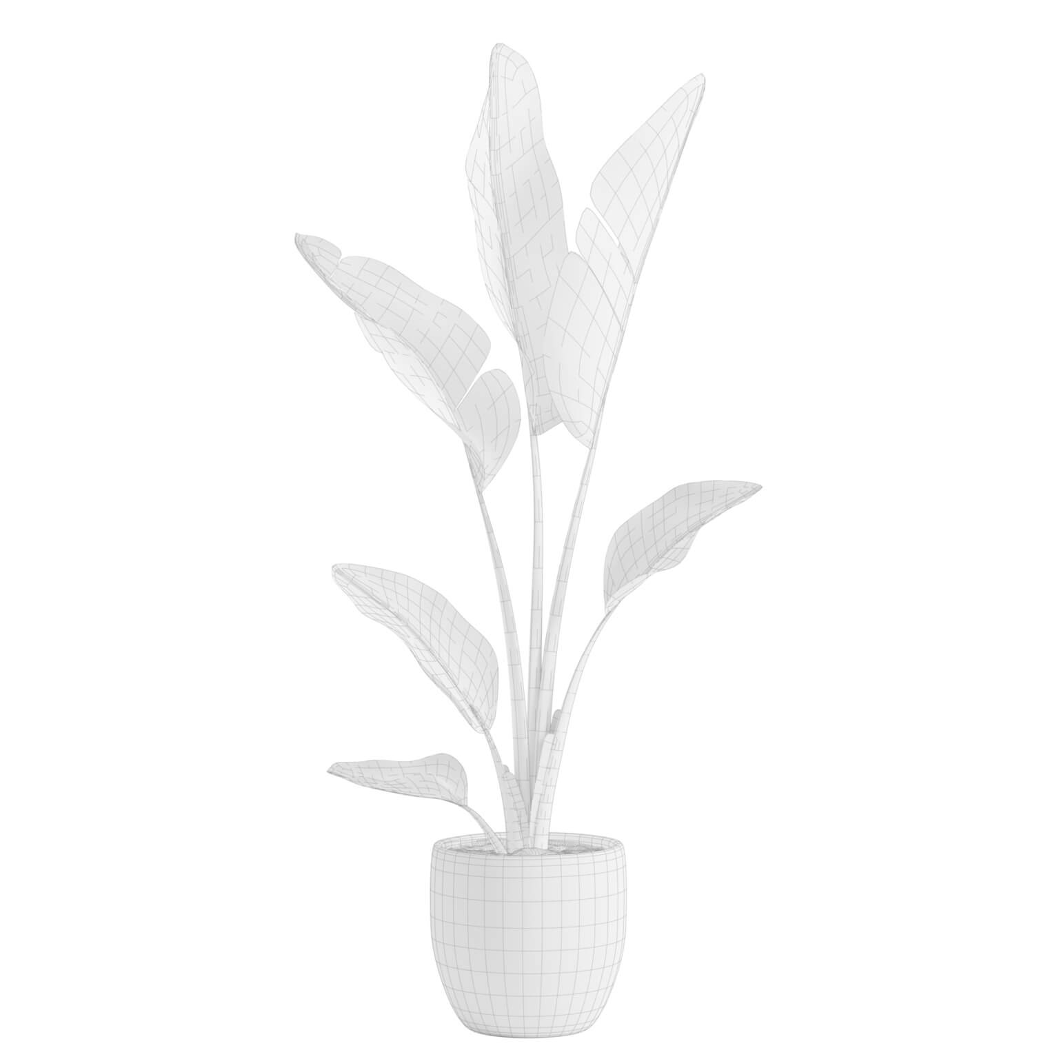 Potted Strelitzia Nicolai - 3D Model by AllQuad