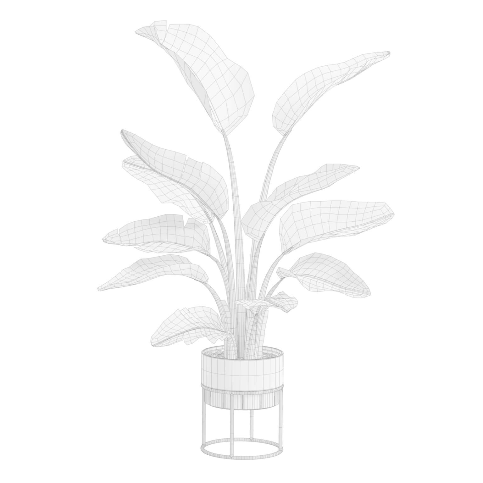 Strelitzia Nicolai Plant Set - 3D Model by AllQuad