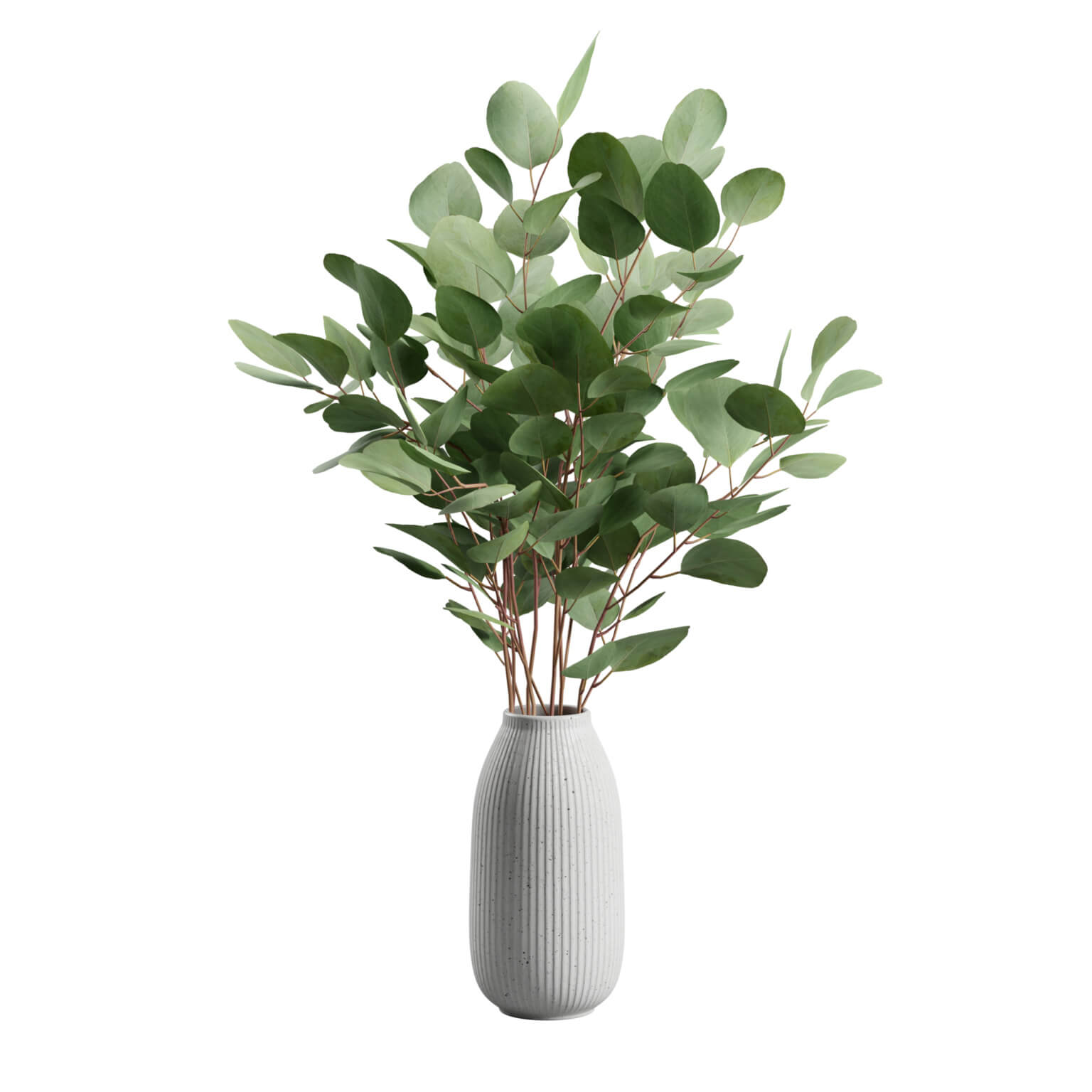 Vase Eucalyptus Bouquet - 3D Model by AllQuad