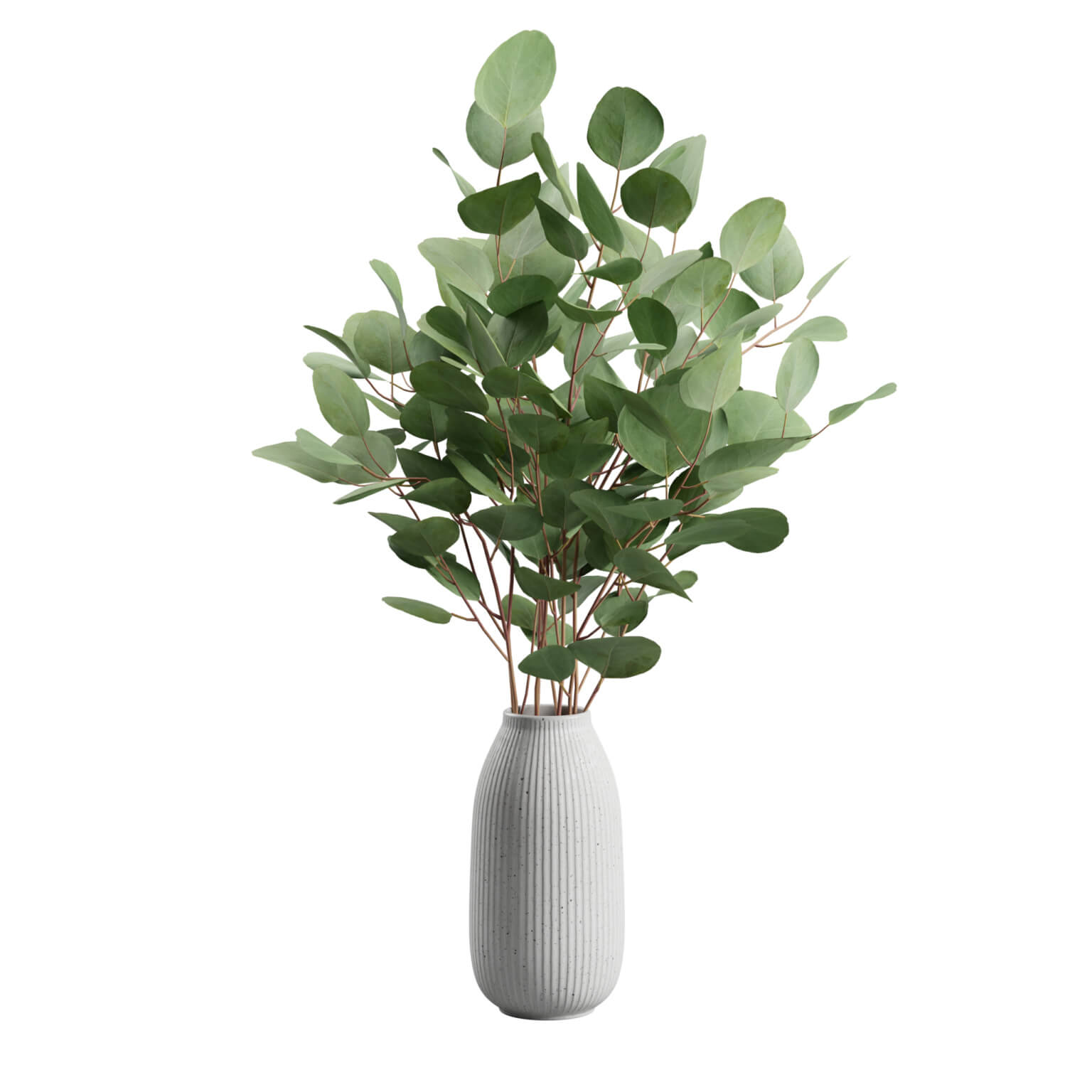 Vase Eucalyptus Bouquet - 3D Model by AllQuad