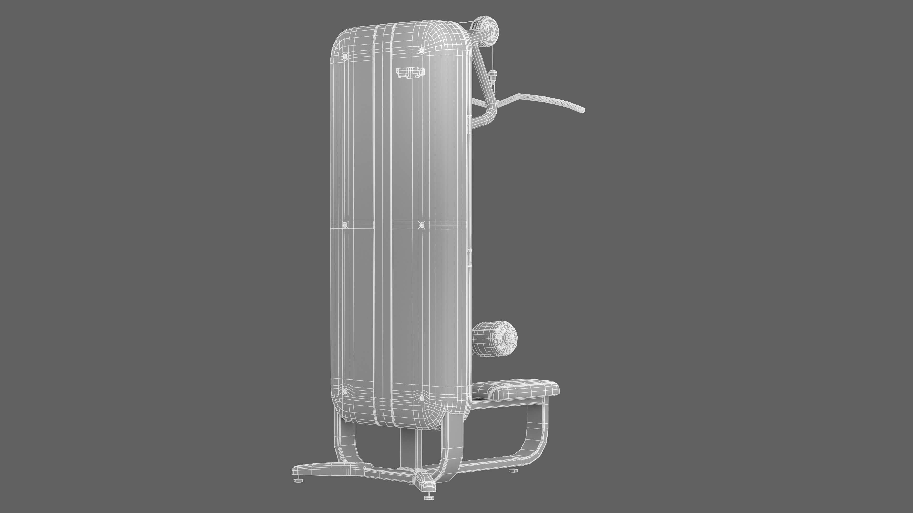 Technogym Artis Lat Machine - 3D Model by Ambi3d