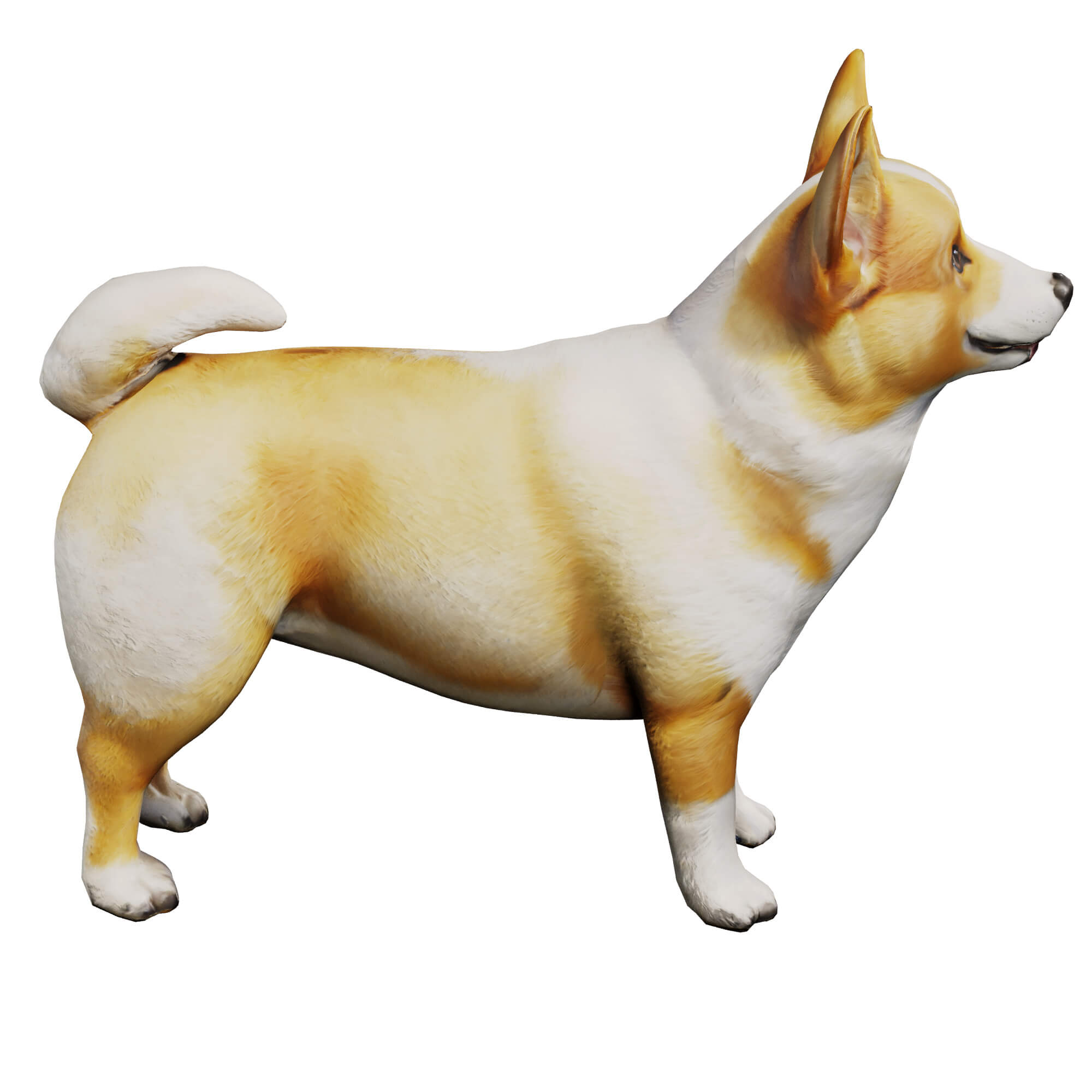 Corgi Pet Dog - Free 3D Model by Amistat