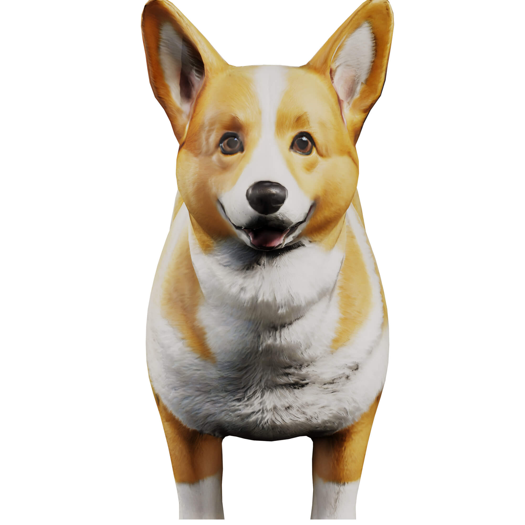 Corgi Pet Dog - Free 3D Model by Amistat