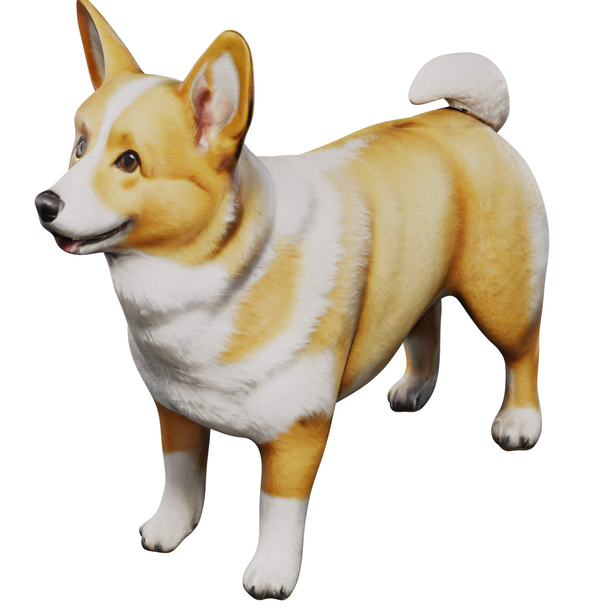 Corgi Pet Dog - Free 3D Model by Amistat