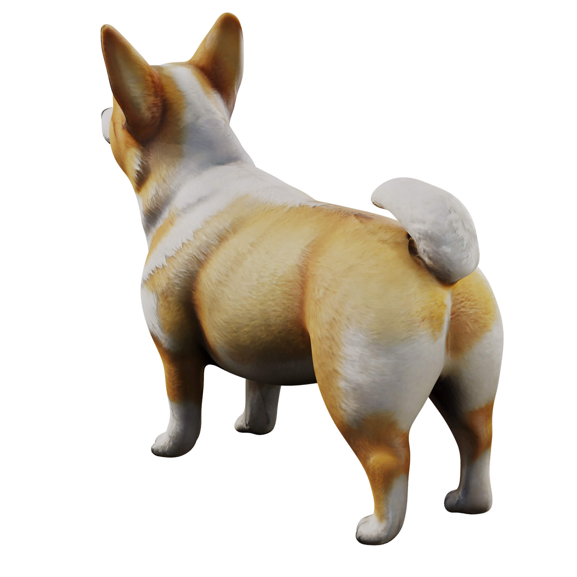 Corgi Pet Dog - Free 3D Model by Amistat