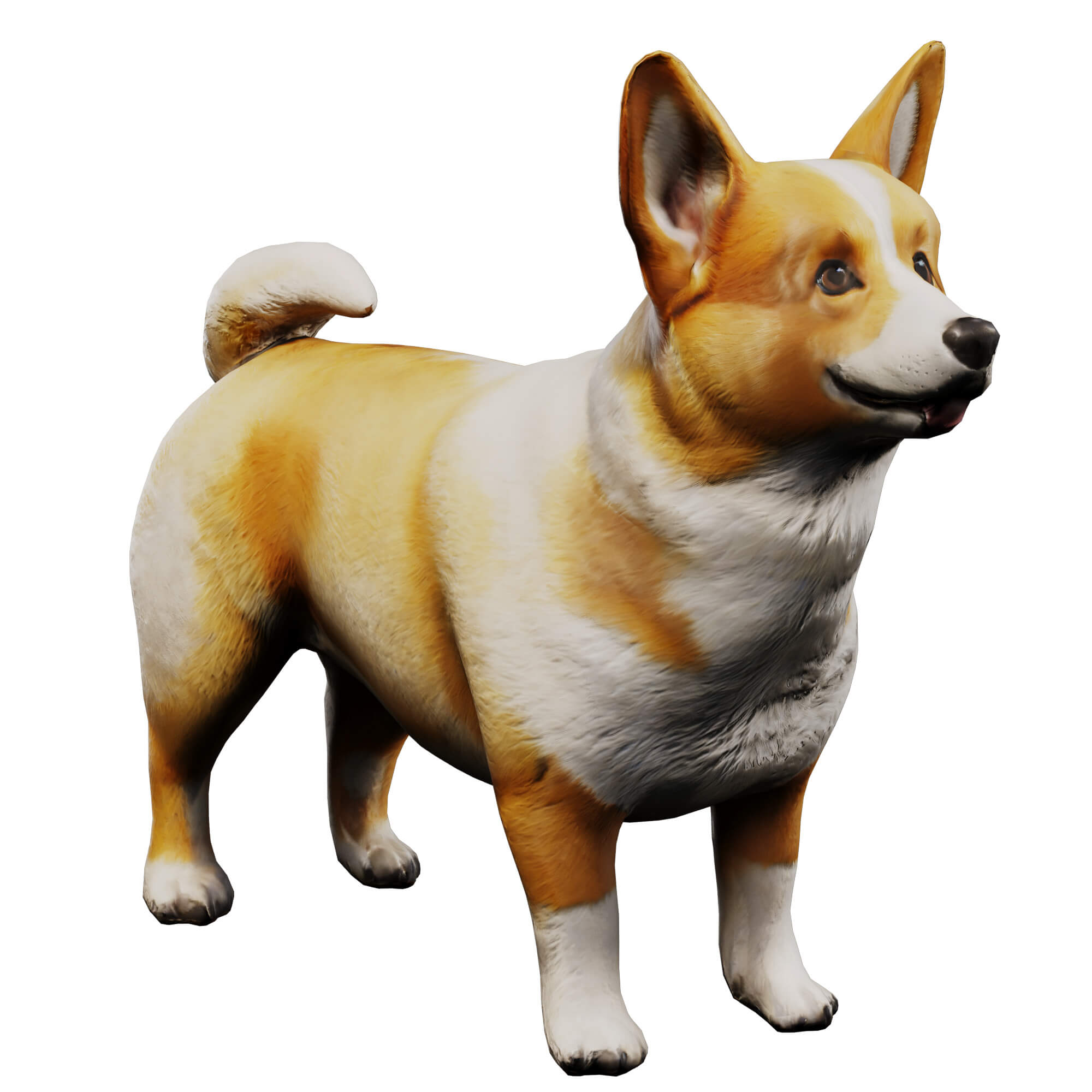 Corgi Pet Dog - Free 3D Model by Amistat