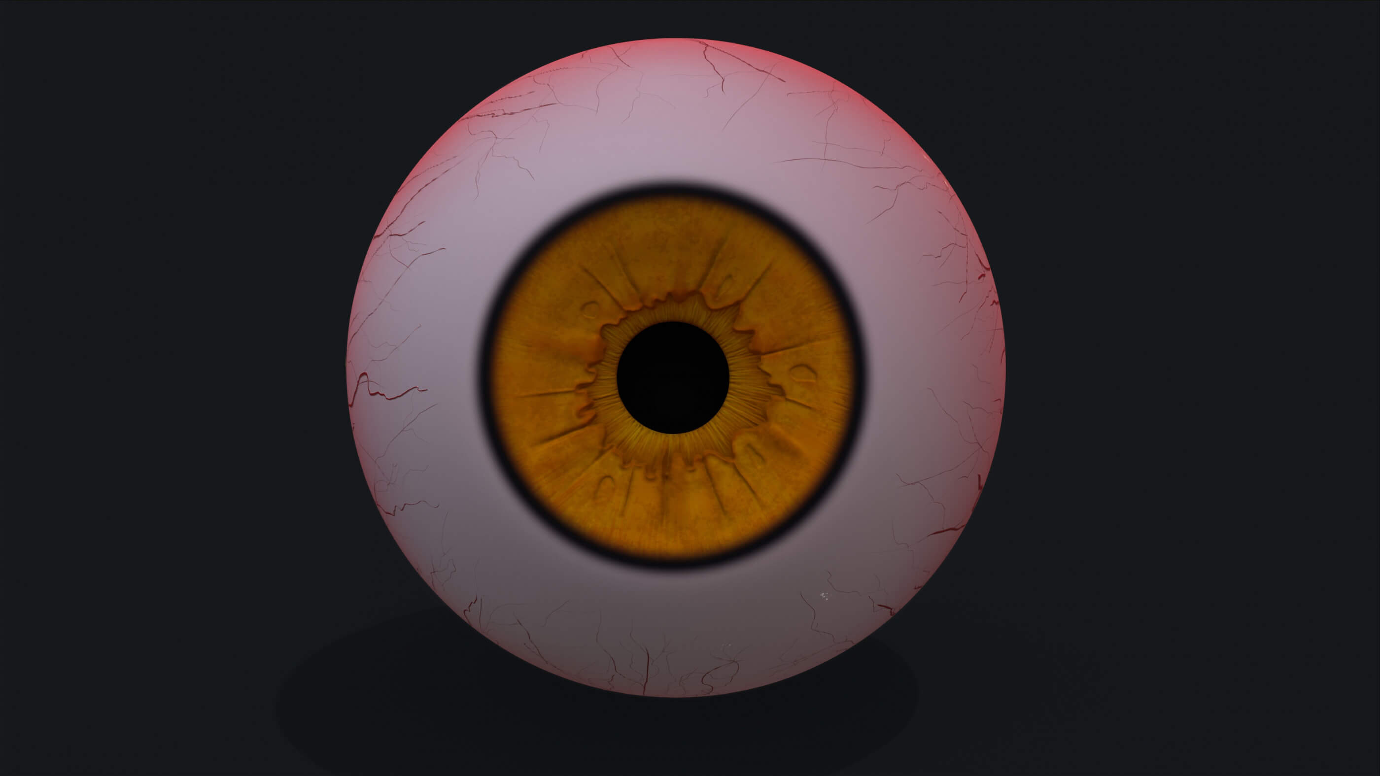 Realistic Eye Pack 01 - 3D Model by Andrey89