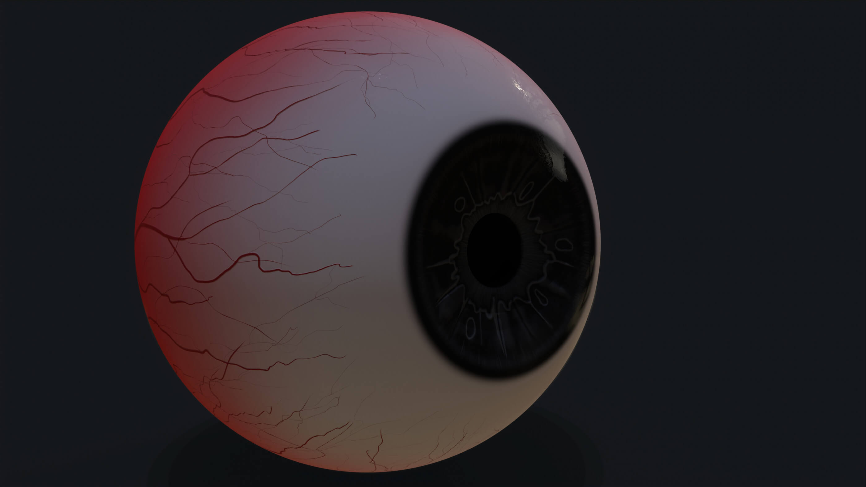 Realistic Eye Pack 01 - 3D Model by Andrey89