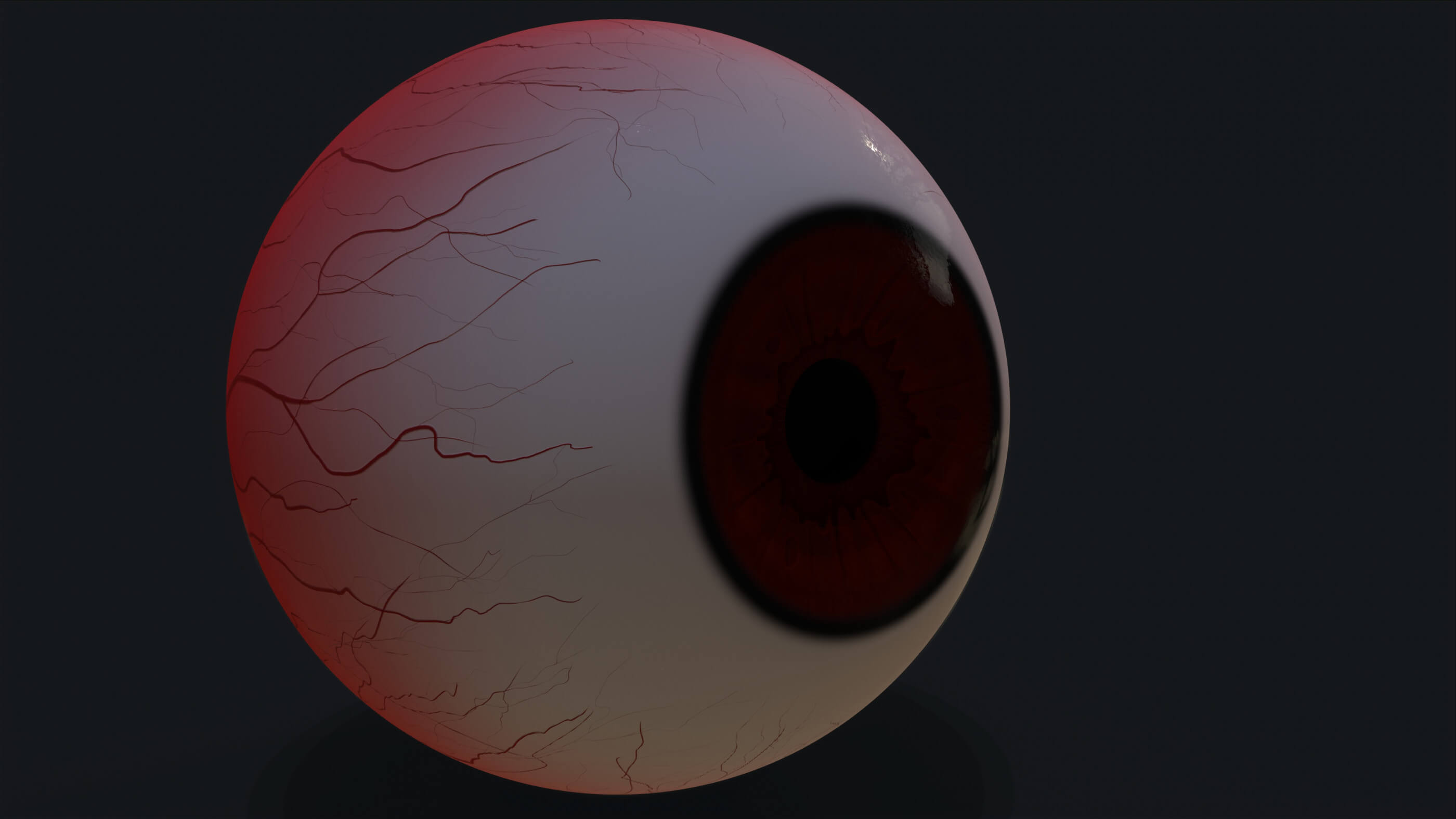 Realistic Eye Pack 01 - 3D Model by Andrey89