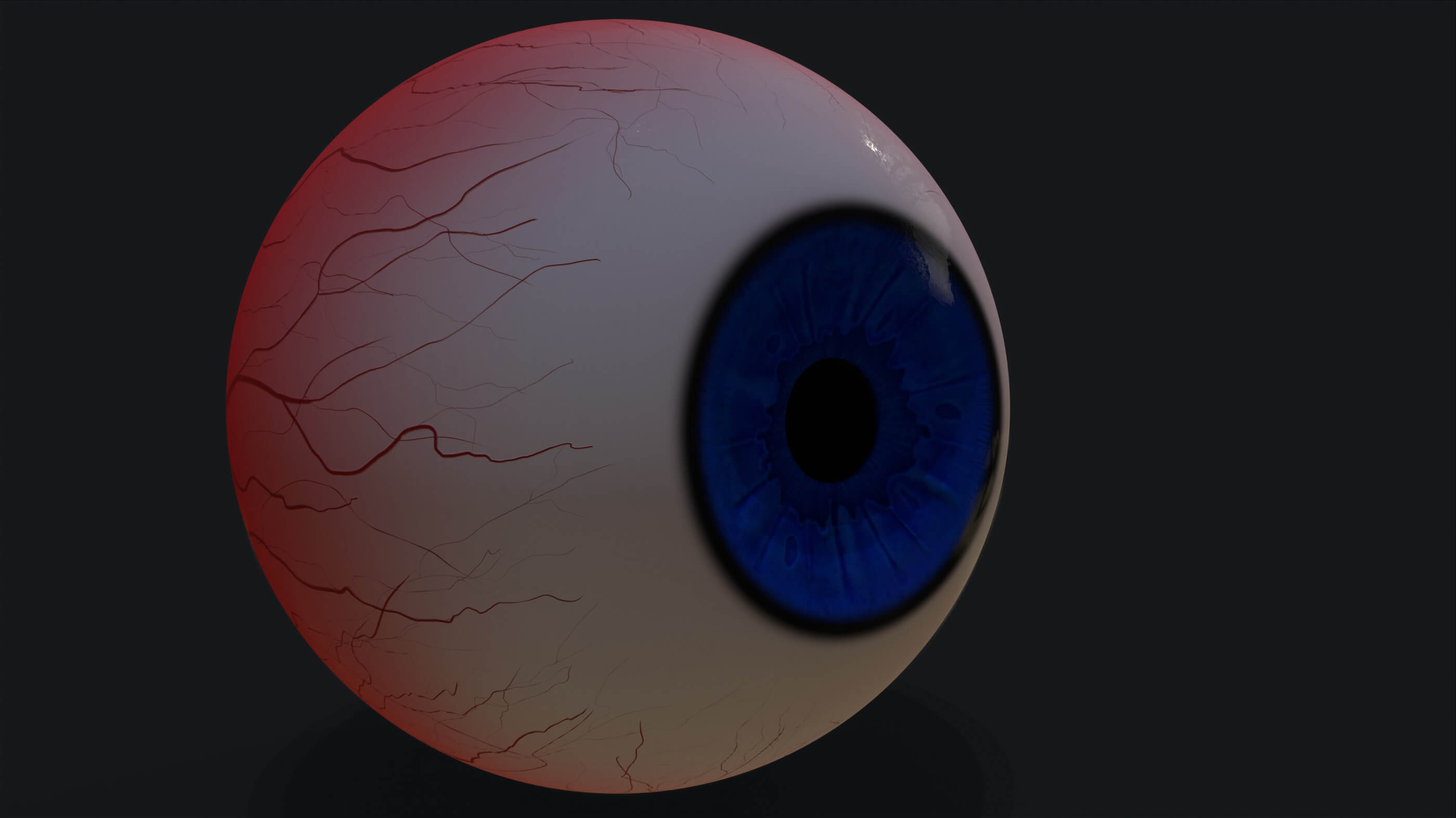 Realistic Eye Pack 01 - 3D Model by Andrey89