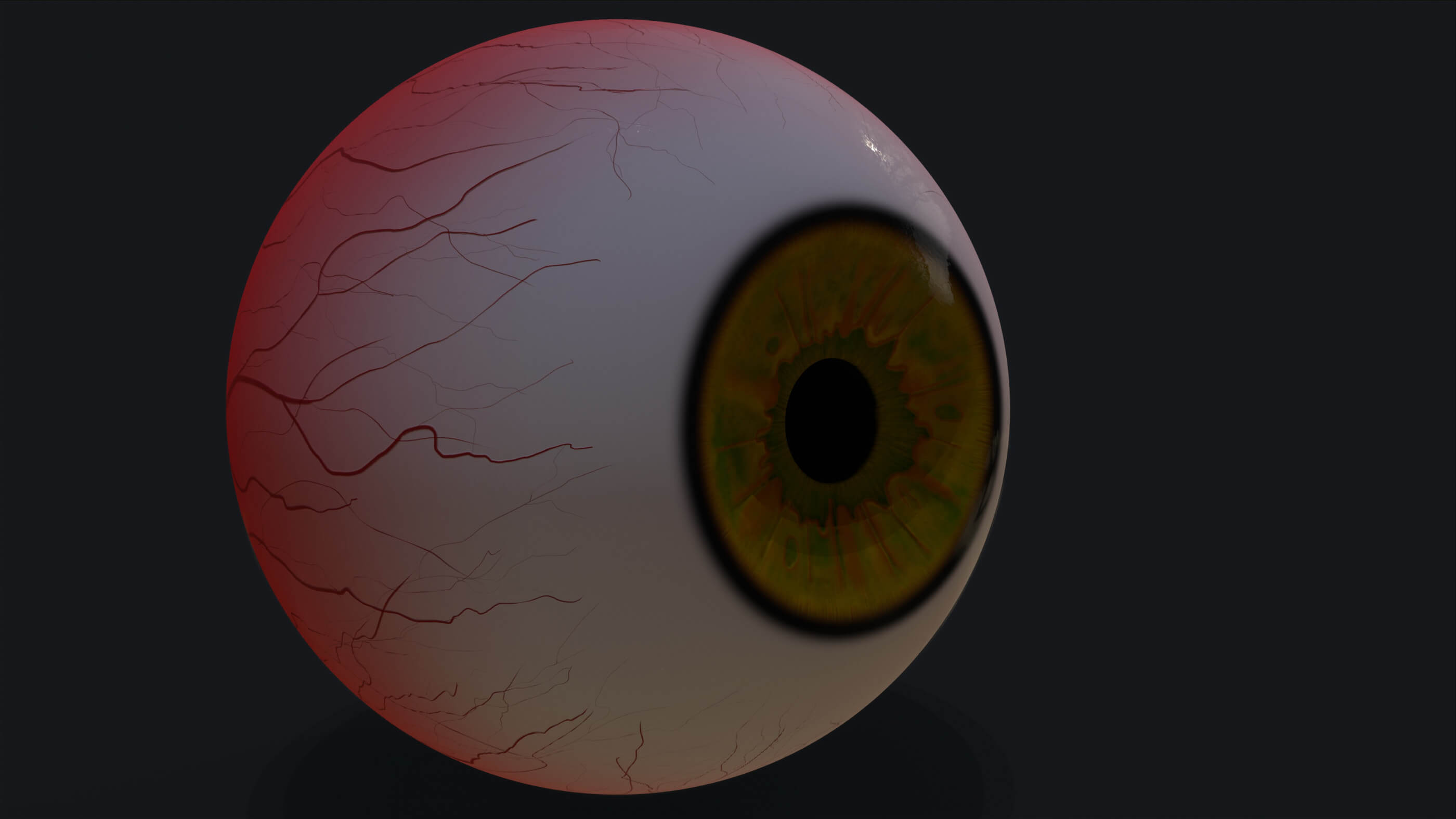 Realistic Eye Pack 01 - 3D Model by Andrey89
