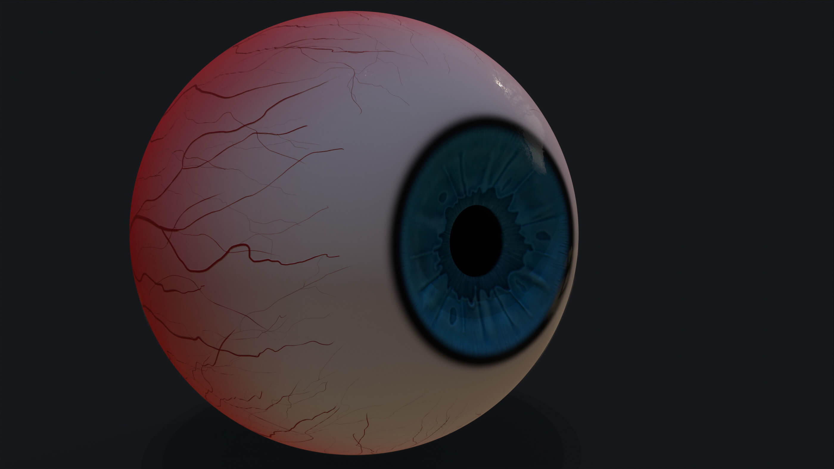 Realistic Eye Pack 01 - 3D Model by Andrey89