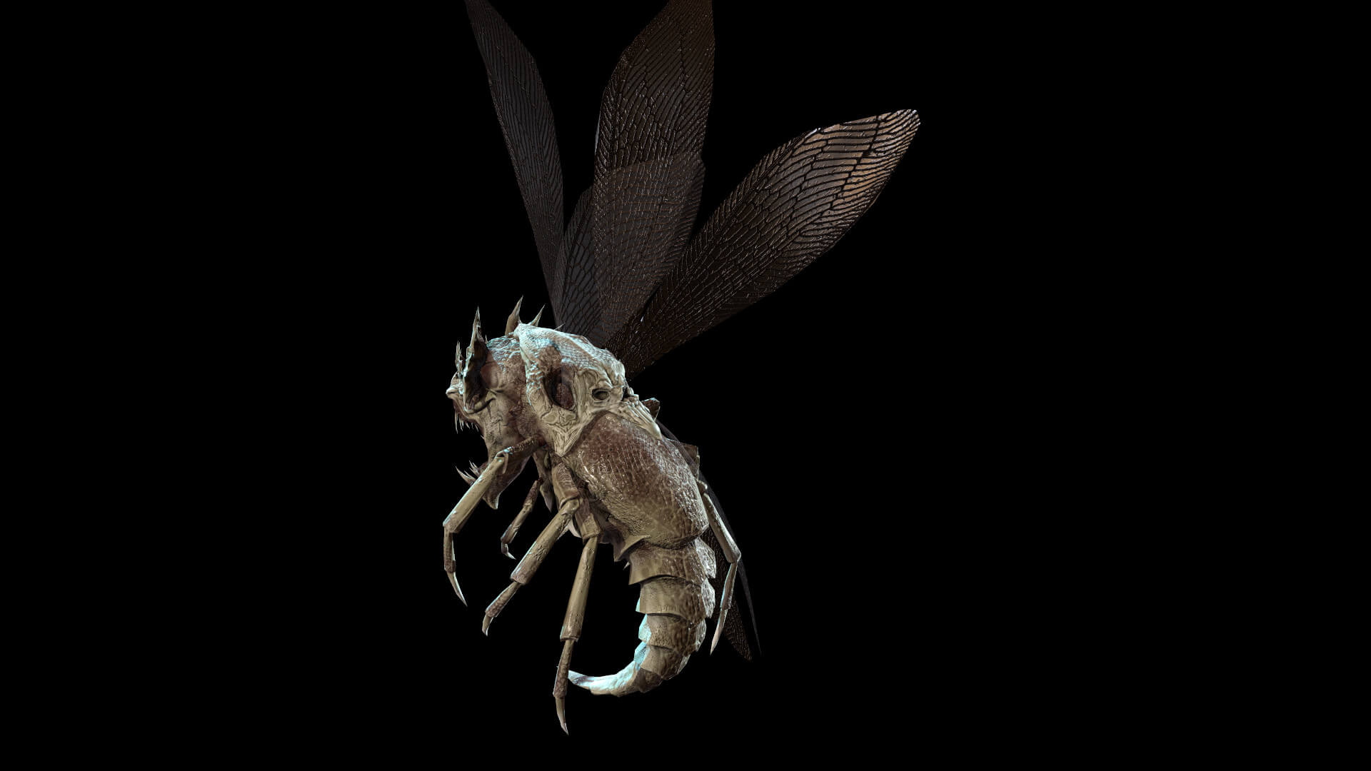 Flying Beetle 3 - 3D Model by andryuha1981