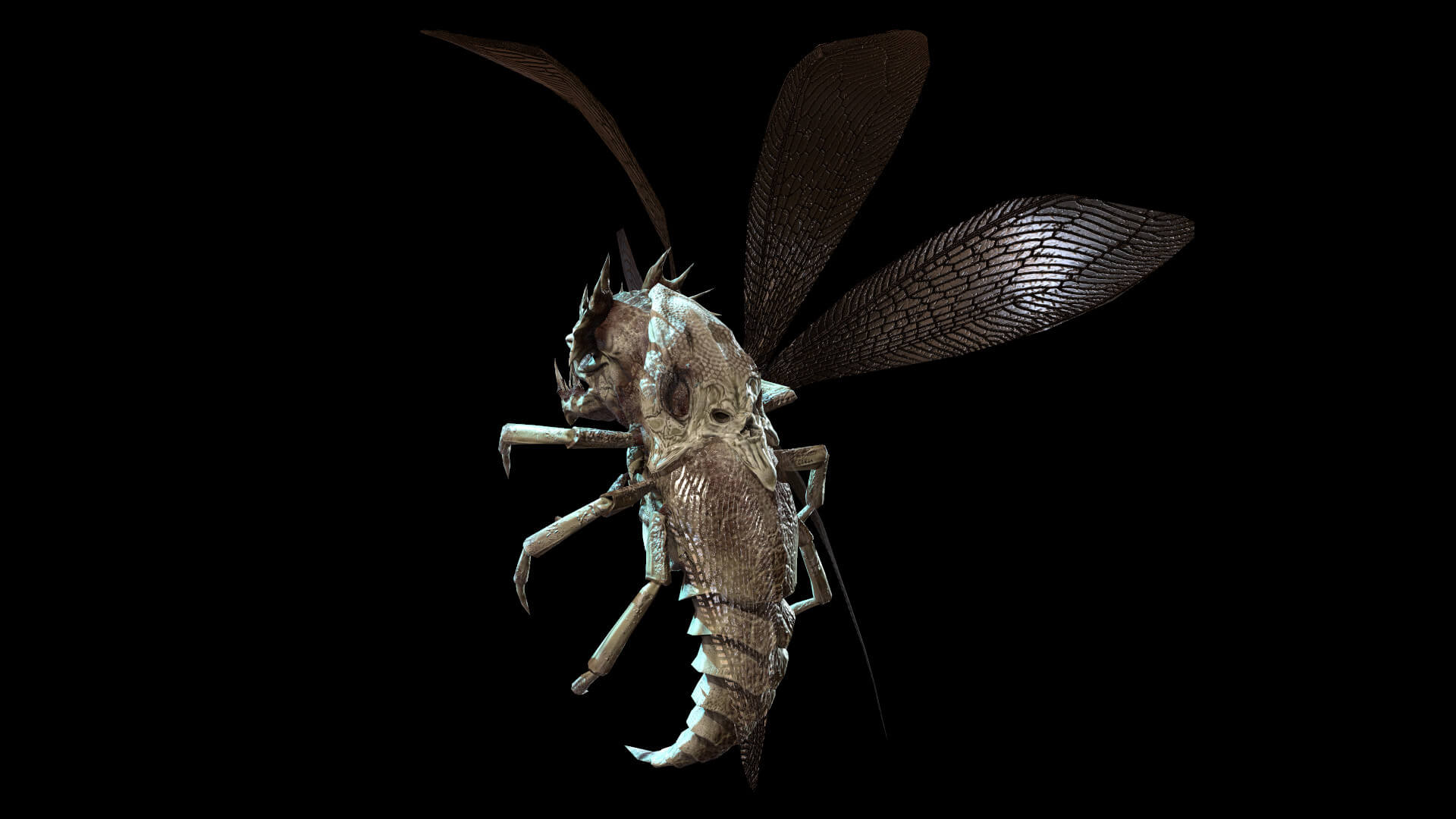 Flying Beetle 3 - 3D Model by andryuha1981