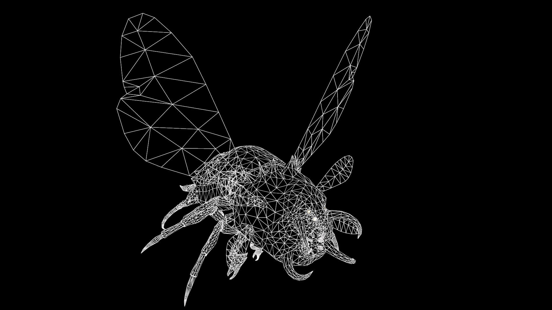 Flying Beetle 5 - 3D Model by andryuha1981