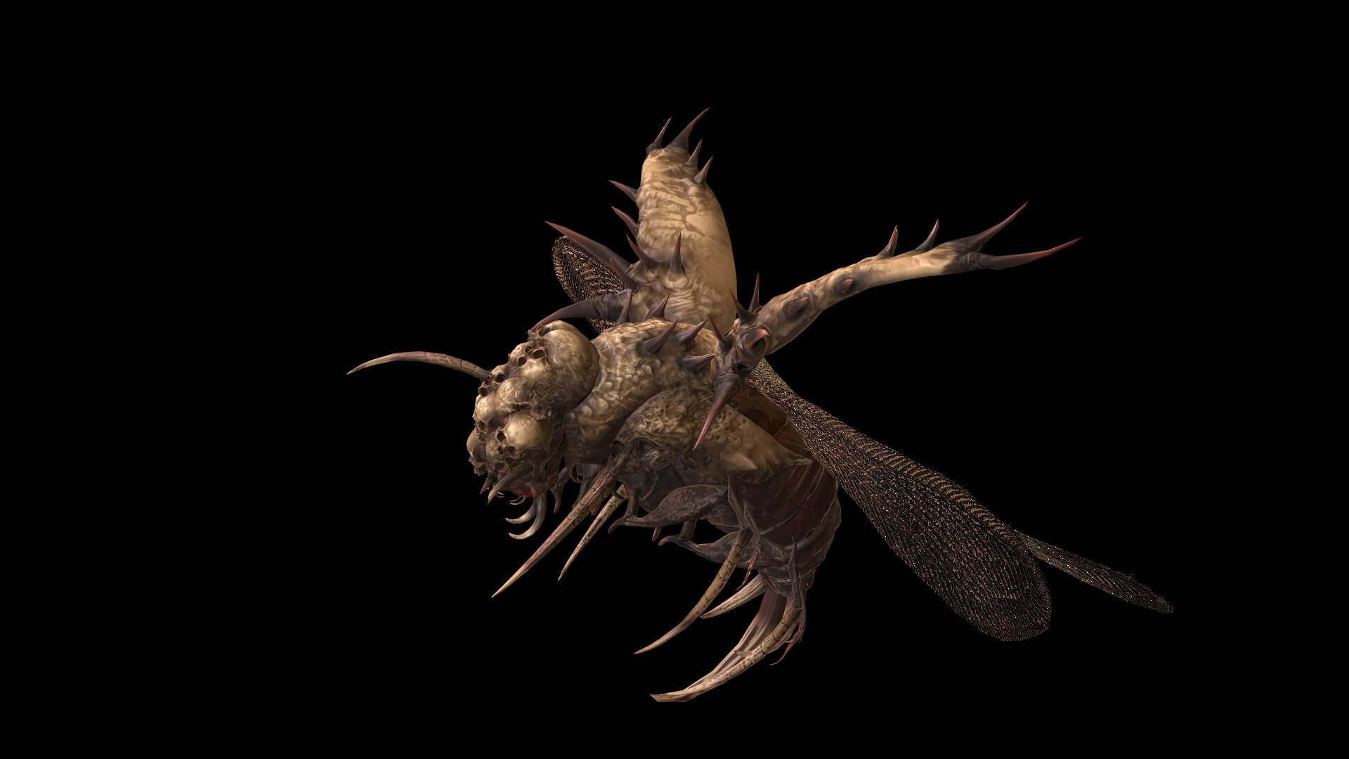 Flyingbugcherepa Na 2 Akka\V1 - 3D Model by andryuha1981