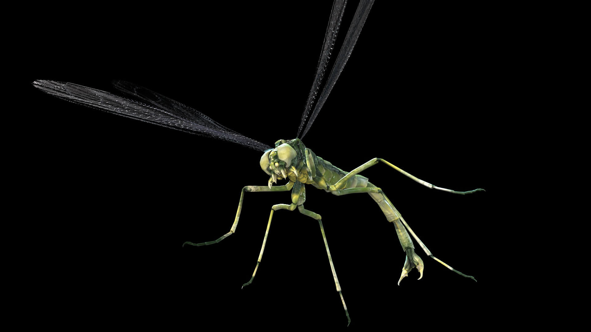 Mosquito Vampire - 3D Model by andryuha1981