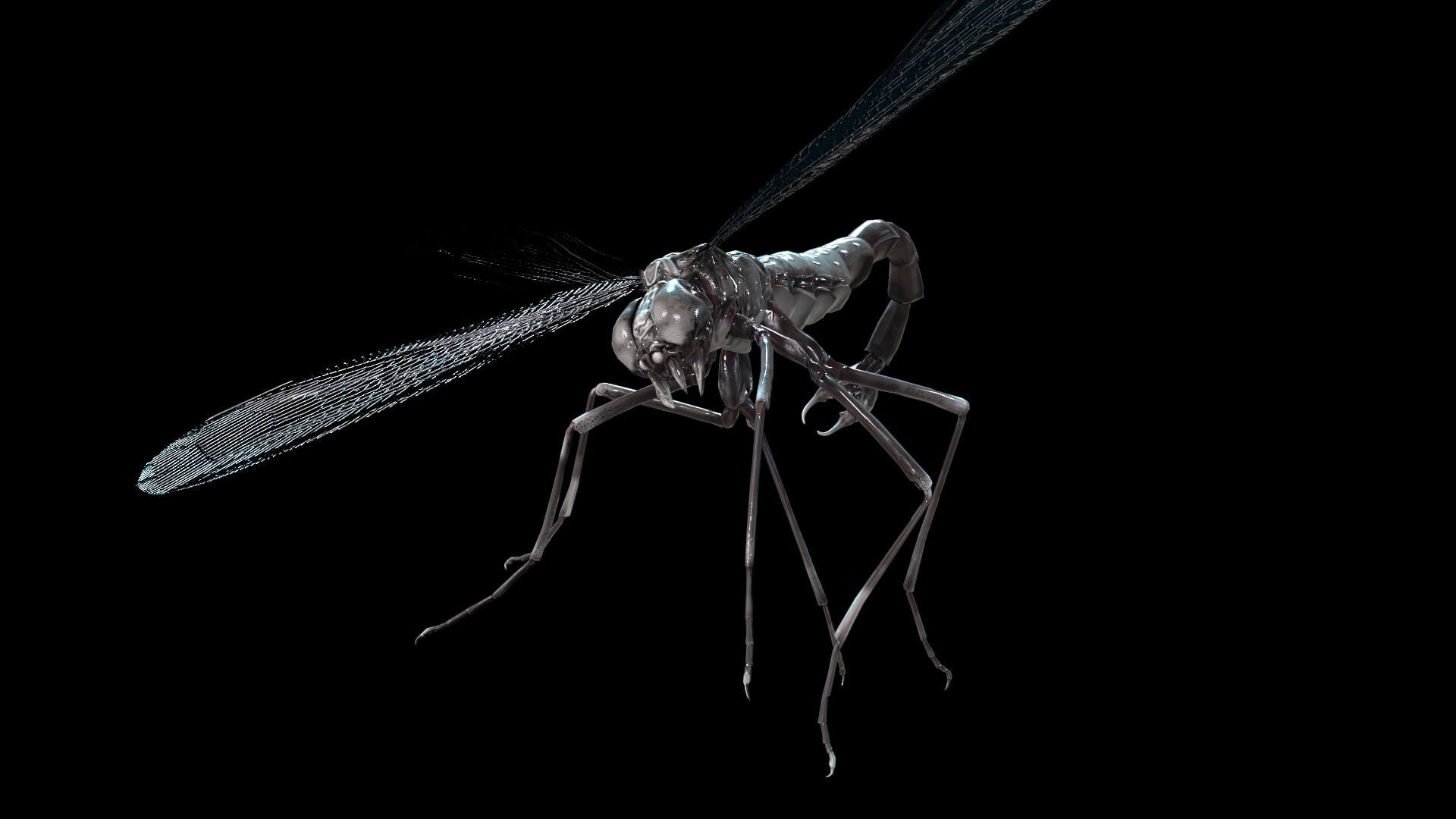 Mosquito Vampire - 3D Model by andryuha1981