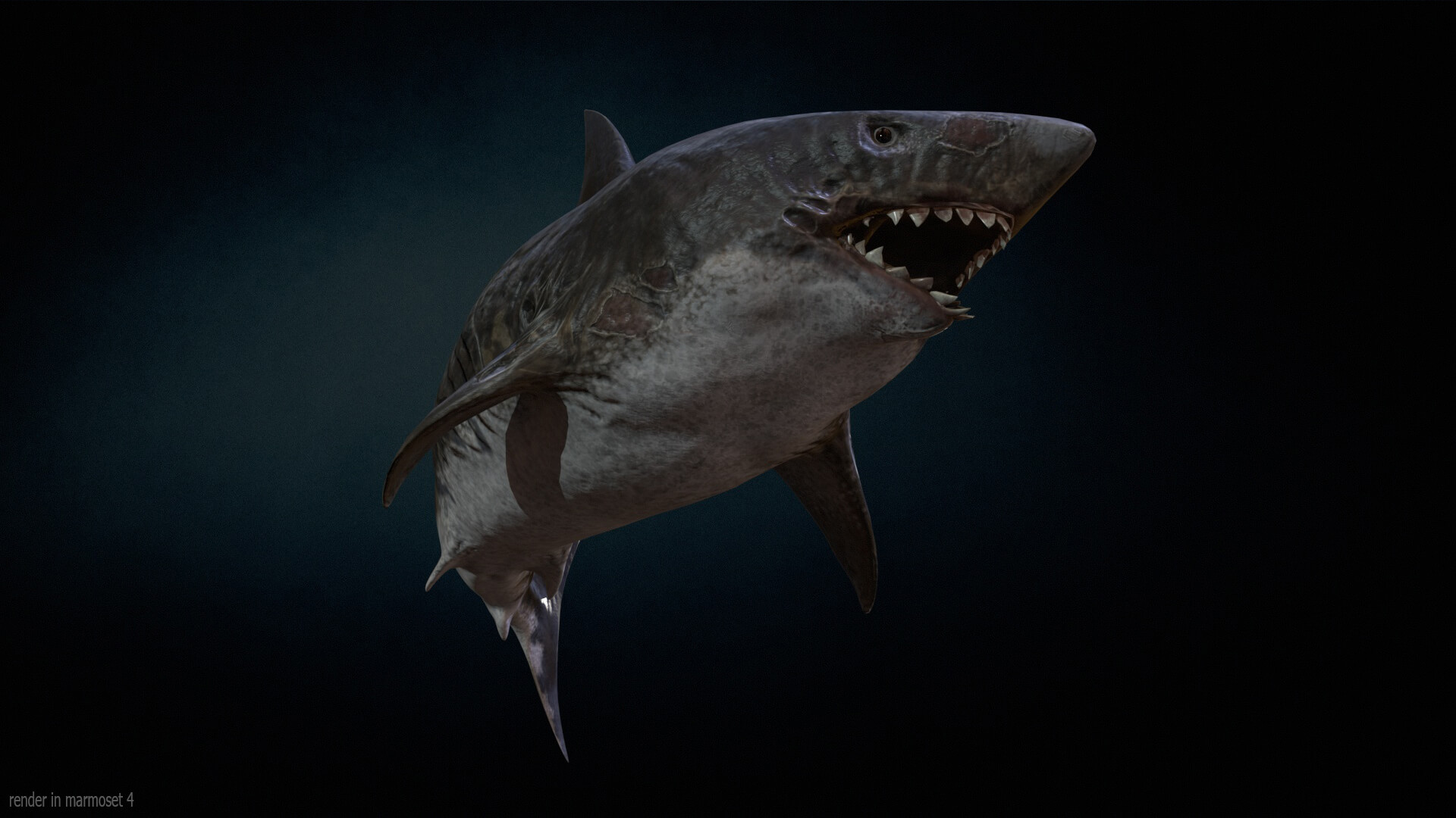 Shark3 Game Ready - 3D Model by andryuha1981