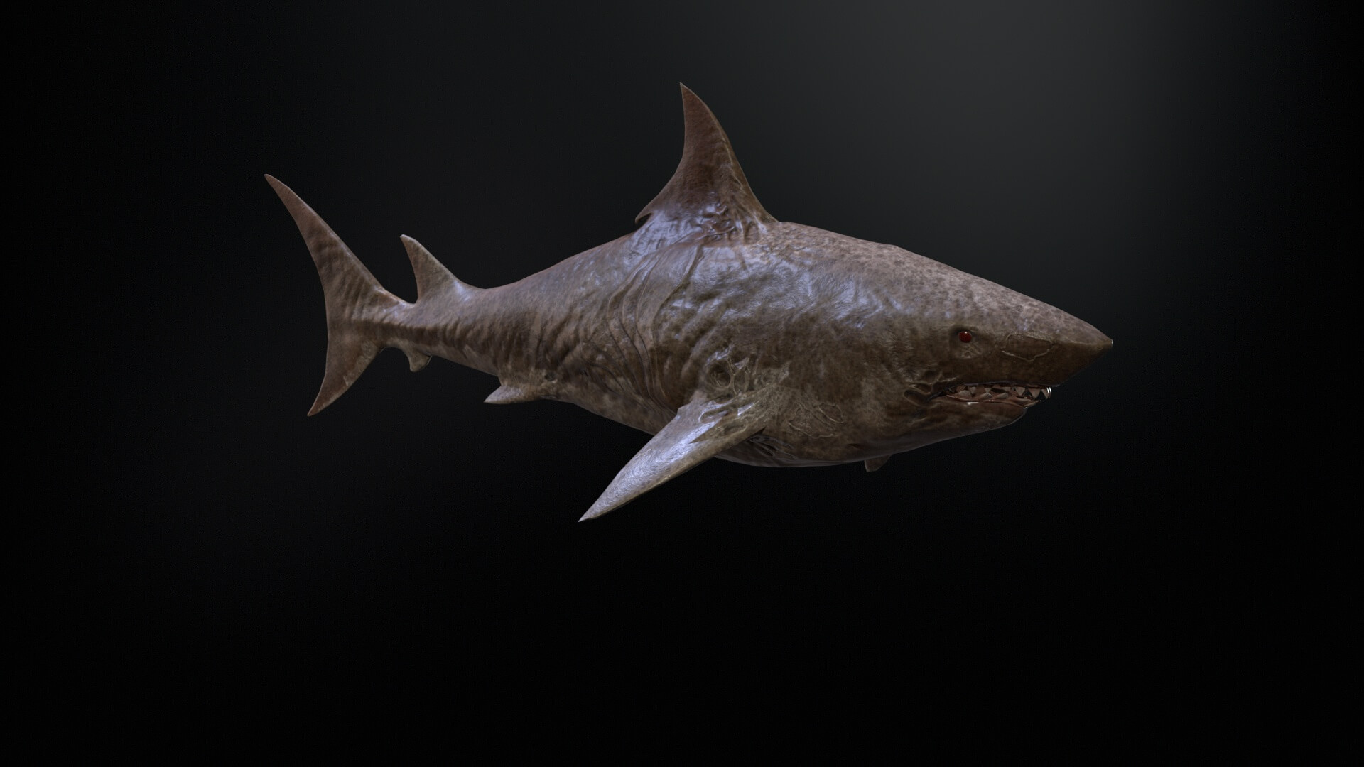 Shark3 Game Ready - 3D Model by andryuha1981
