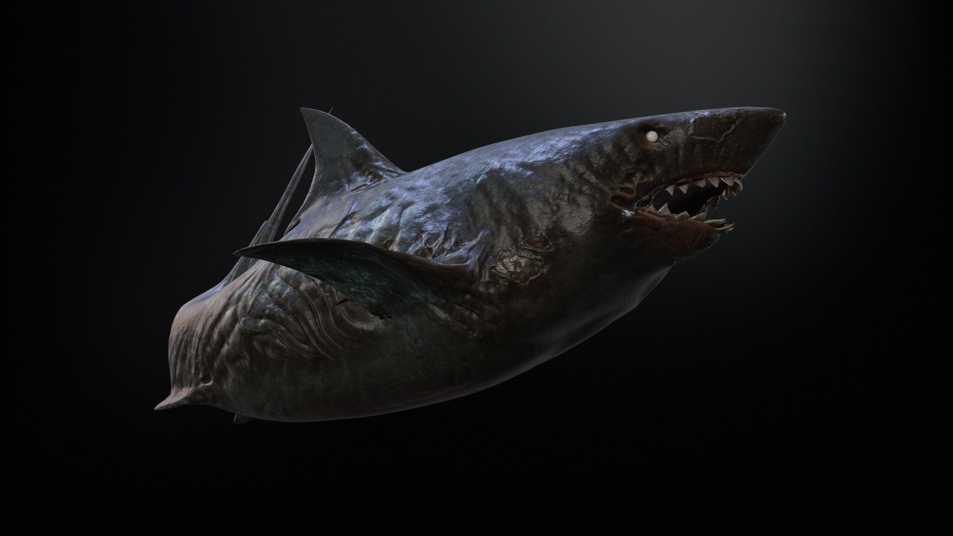 Shark3 Game Ready - 3D Model by andryuha1981