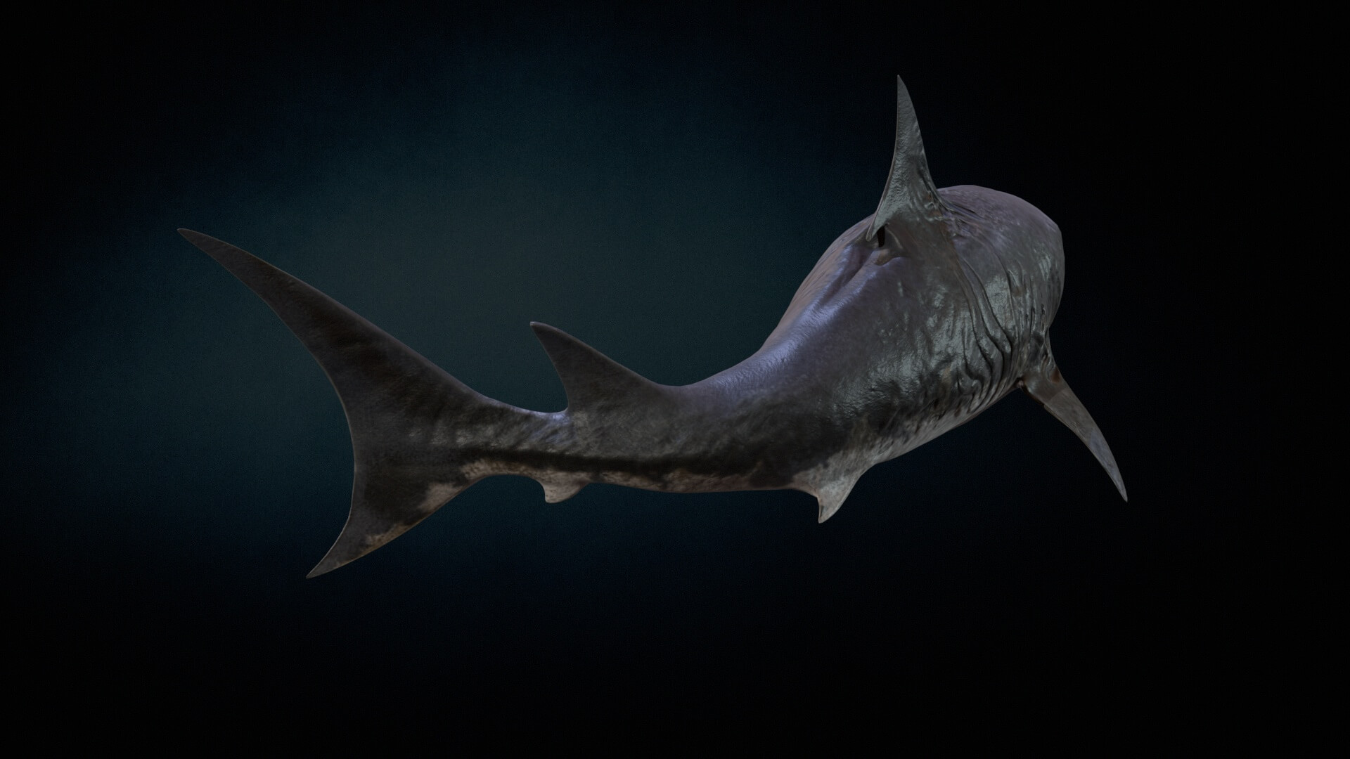 Shark3 Game Ready - 3D Model by andryuha1981