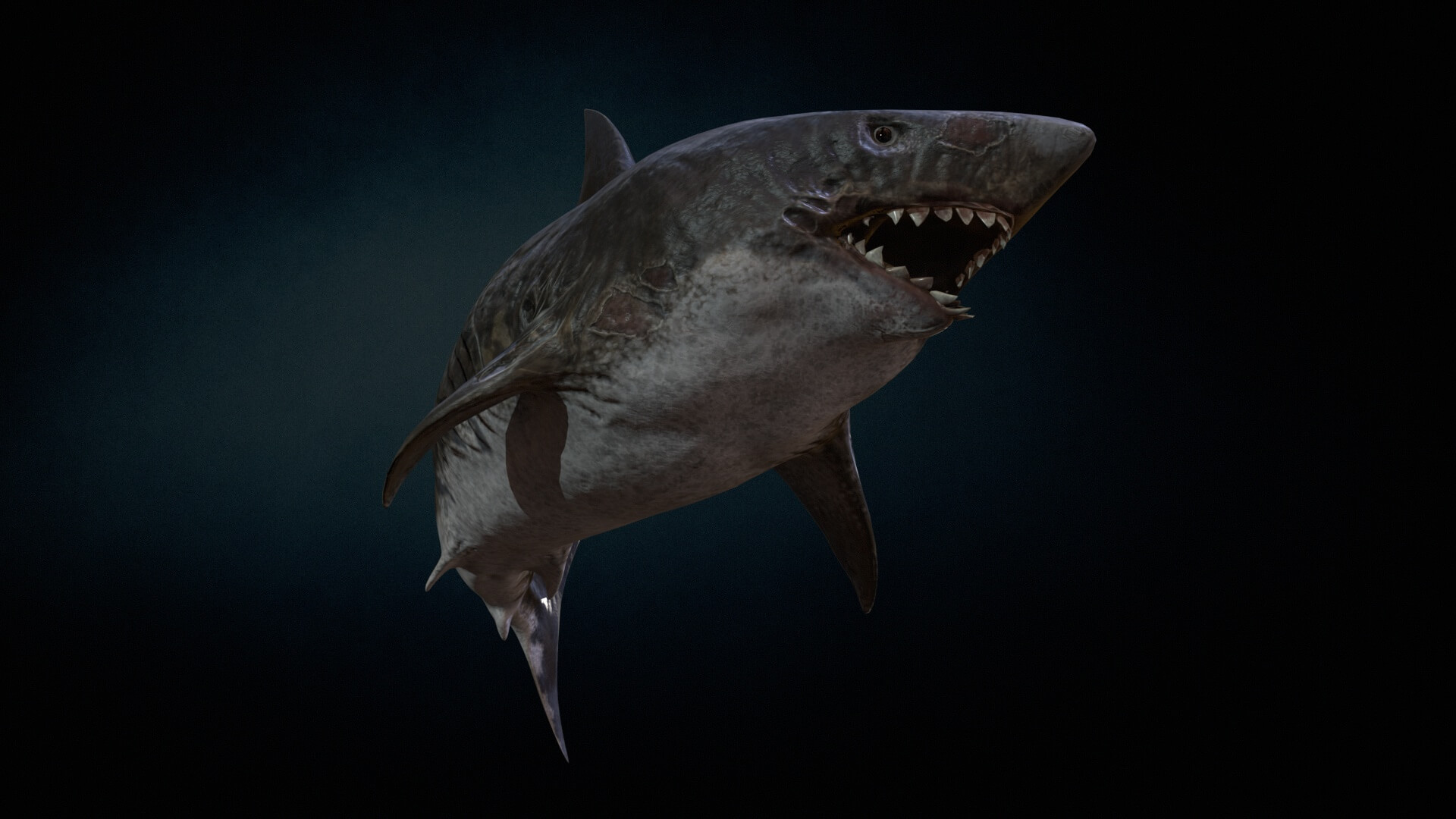 Shark3 Game Ready - 3D Model by andryuha1981