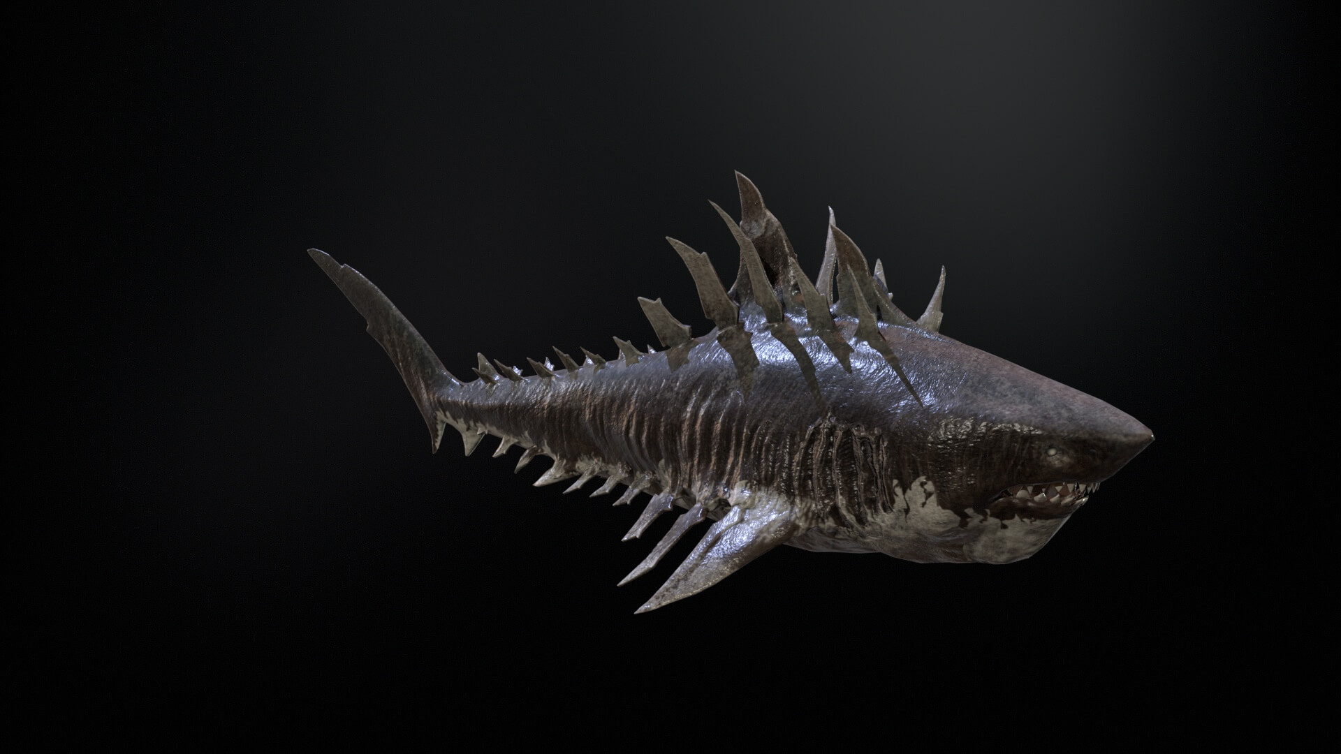 Shark4 Game Ready - 3D Model by andryuha1981
