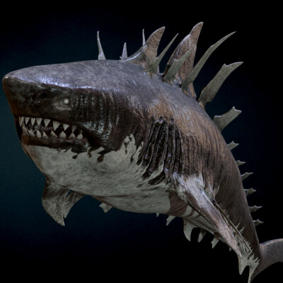 Shark4 Game Ready - 3D Model by andryuha1981