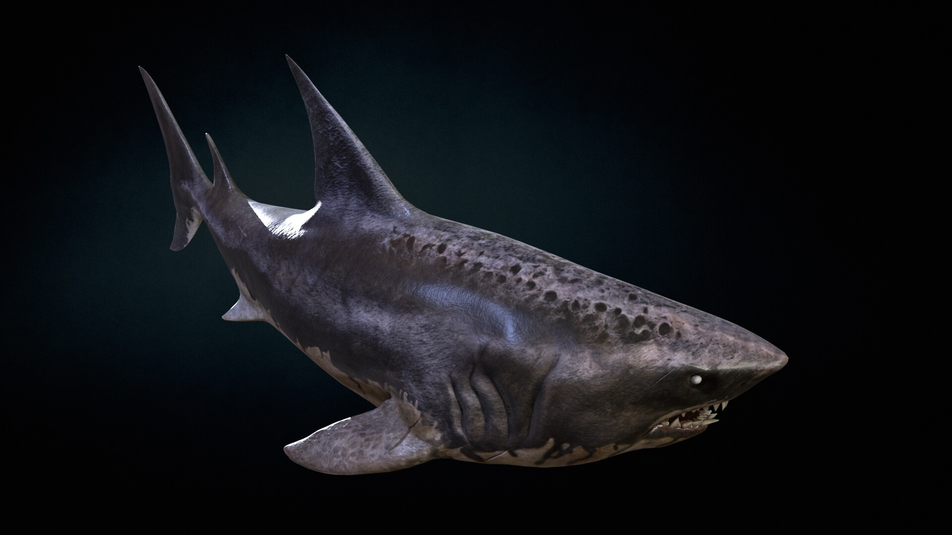 Shark5 Game Ready - 3D Model by andryuha1981