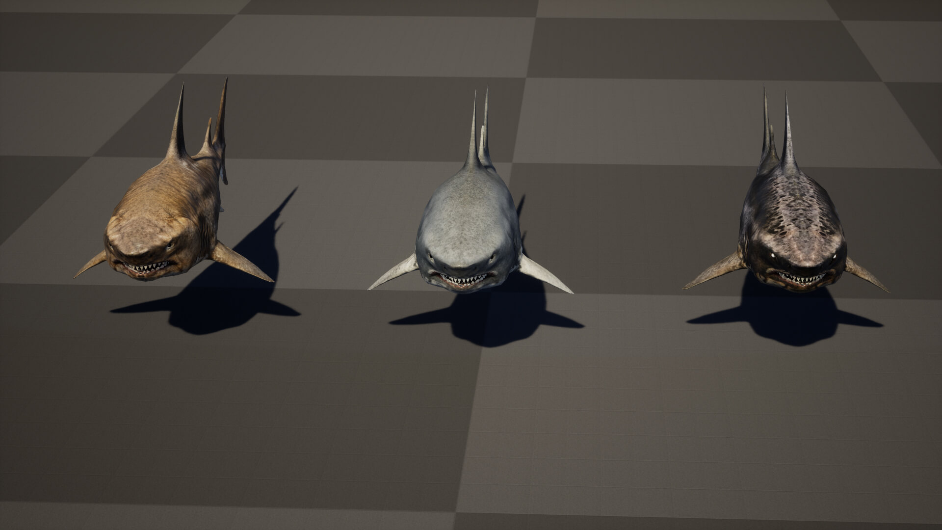 Shark5 Game Ready - 3D Model by andryuha1981