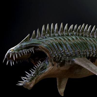 Shark6 Ggame Ready - 3D Model by andryuha1981