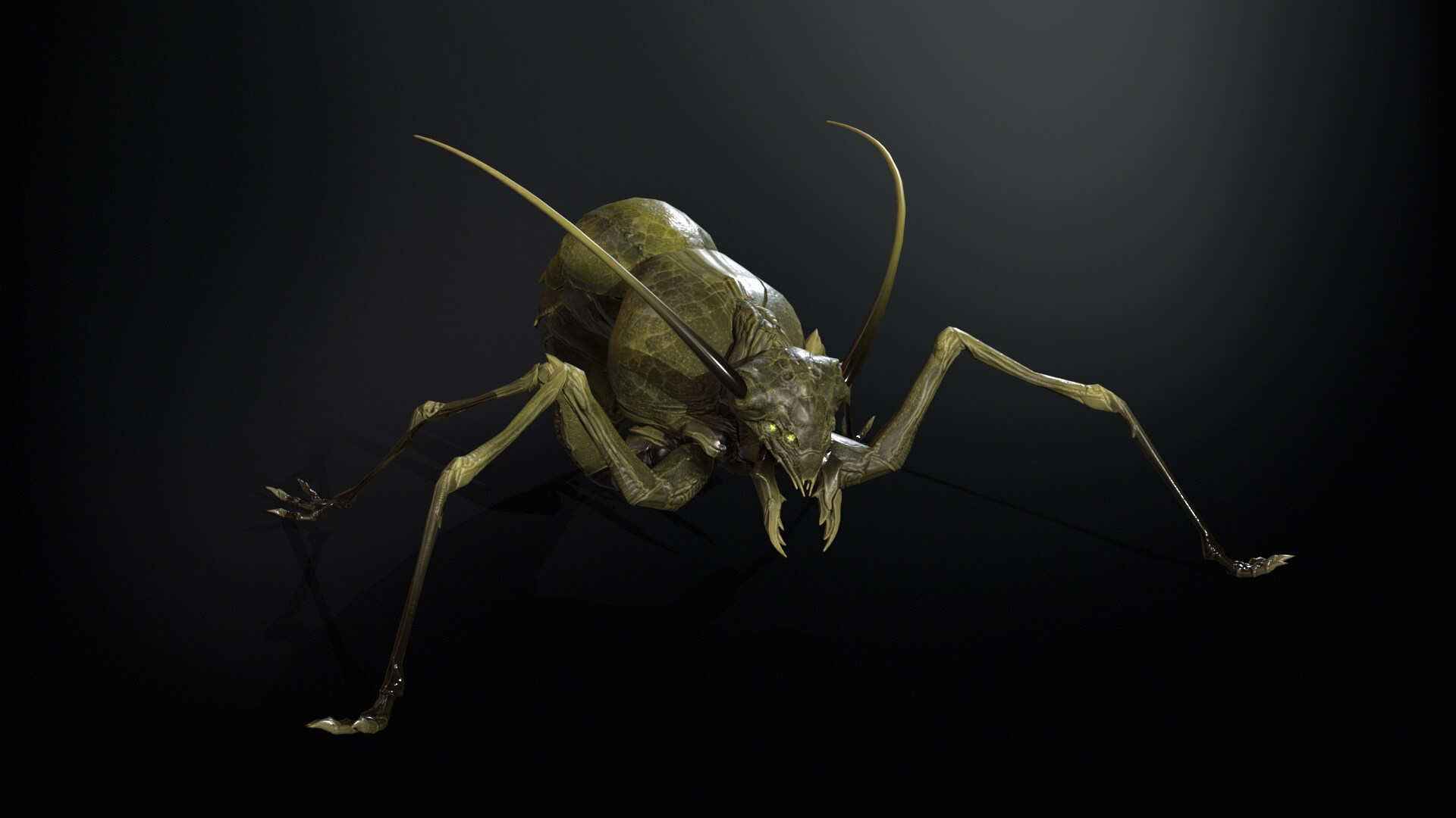 Tarakan Game Ready - 3D Model by andryuha1981