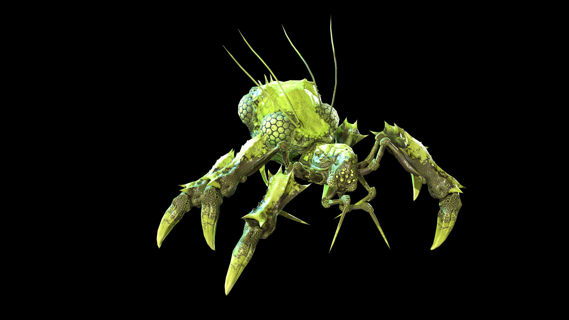 Spider Bug 1 Game Ready - 3D Model by andryuha1981