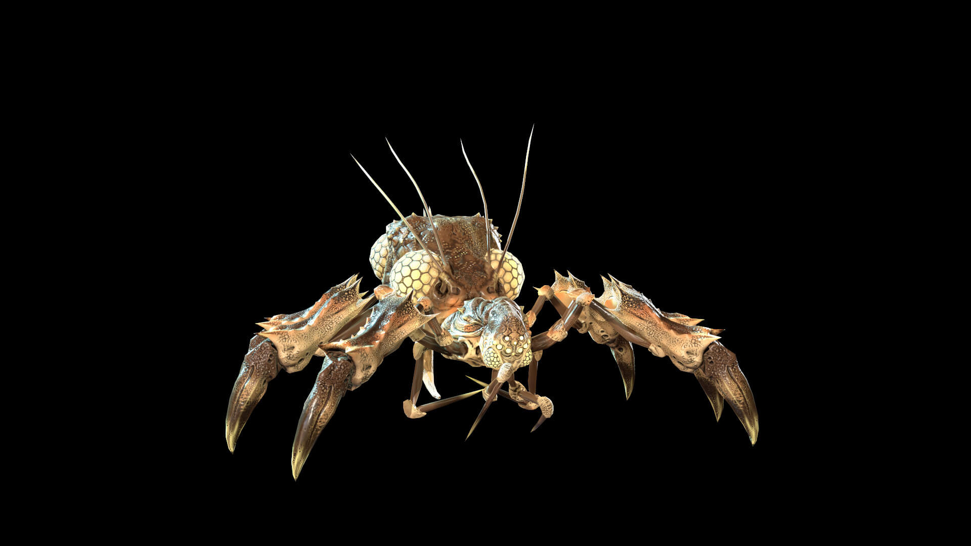 Spider Bug 1 Game Ready - 3D Model by andryuha1981