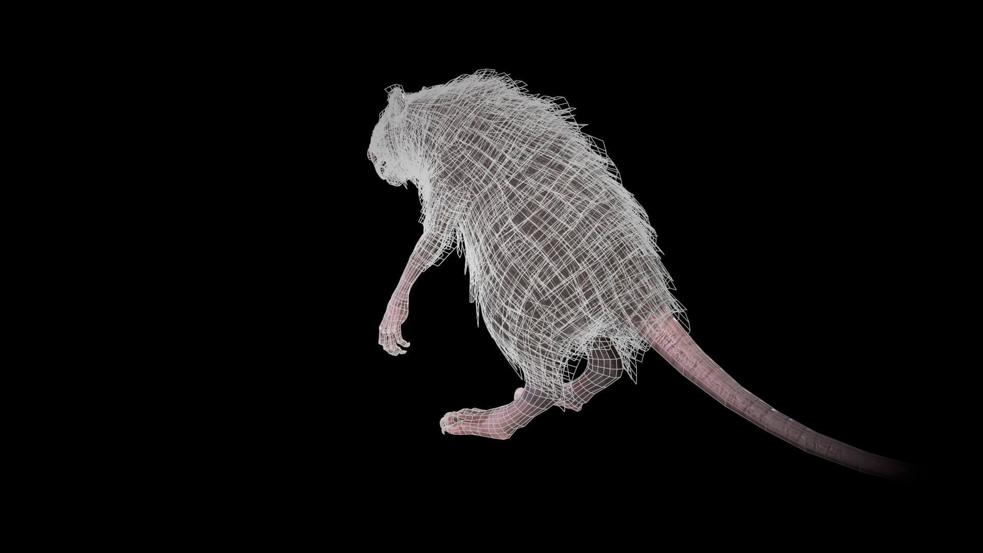 Wererat Game Ready - 3D Model by andryuha1981