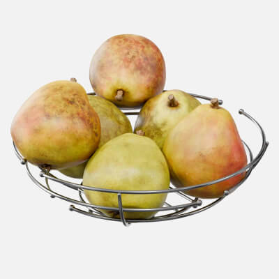 Pears in a Metal Wire Vase - 3D Model by AnDu