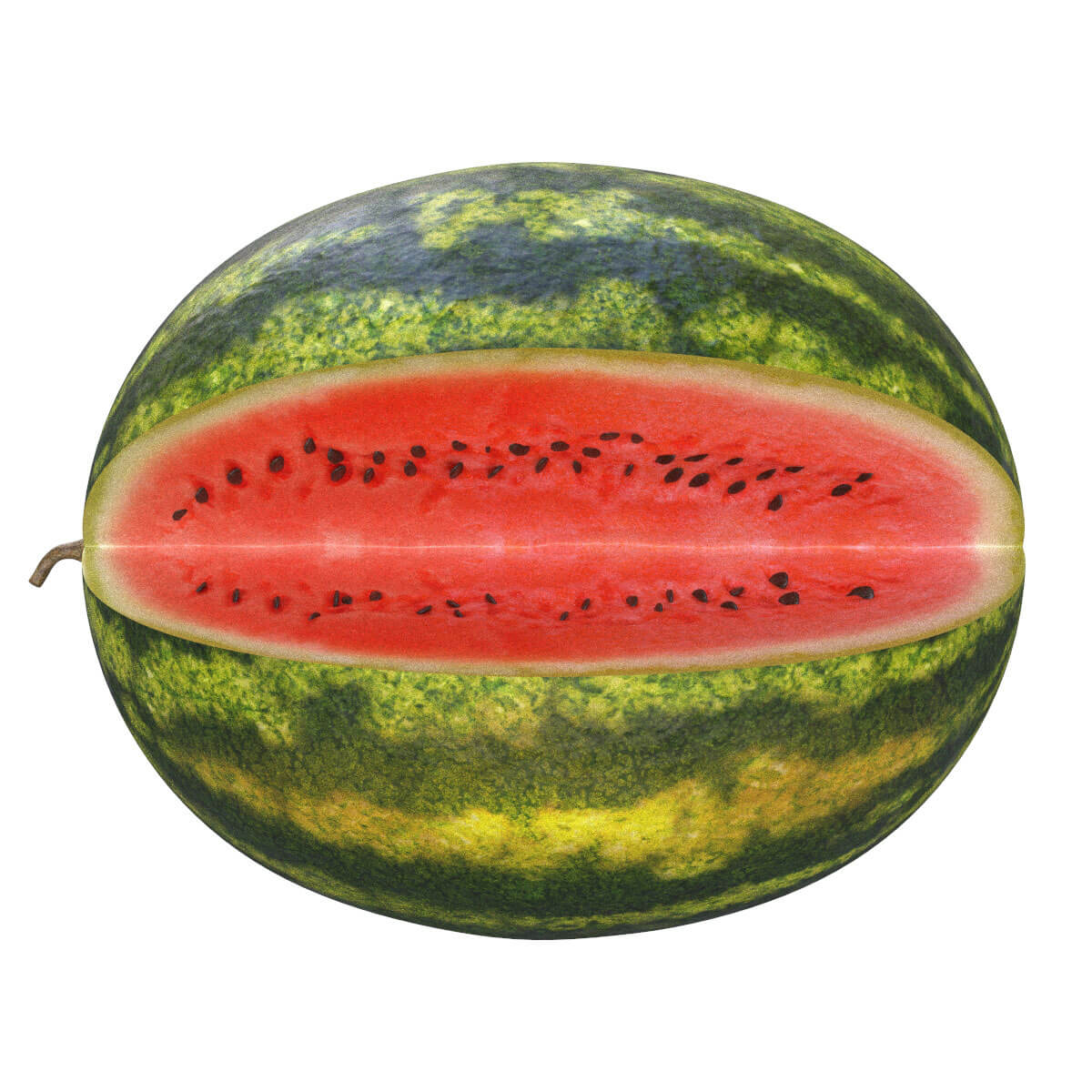 Red and yellow watermelon - 3D Model by AnDu