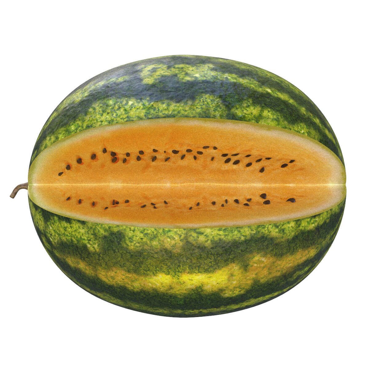 Red and yellow watermelon - 3D Model by AnDu