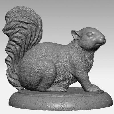 Squirrel Model 3 by animalmodel