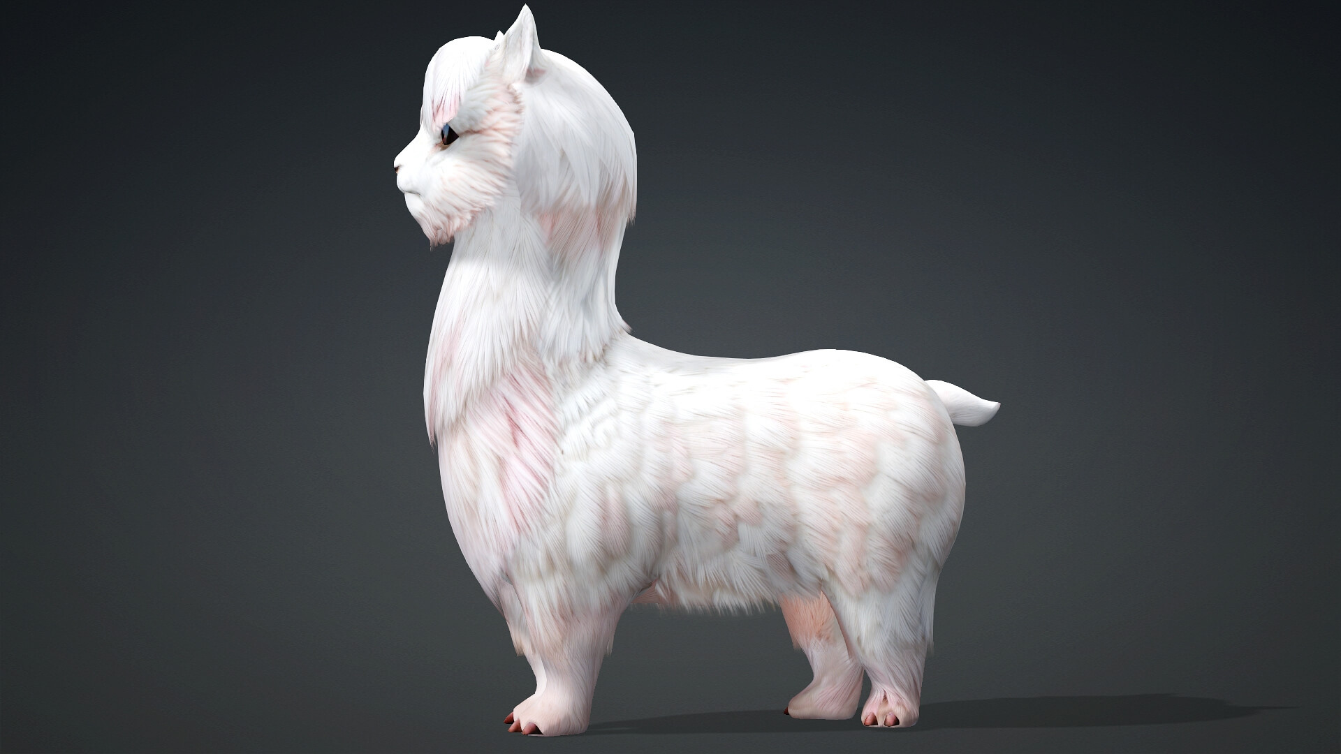 Alpaca-A2-Animated 3D Animation by Animated3d