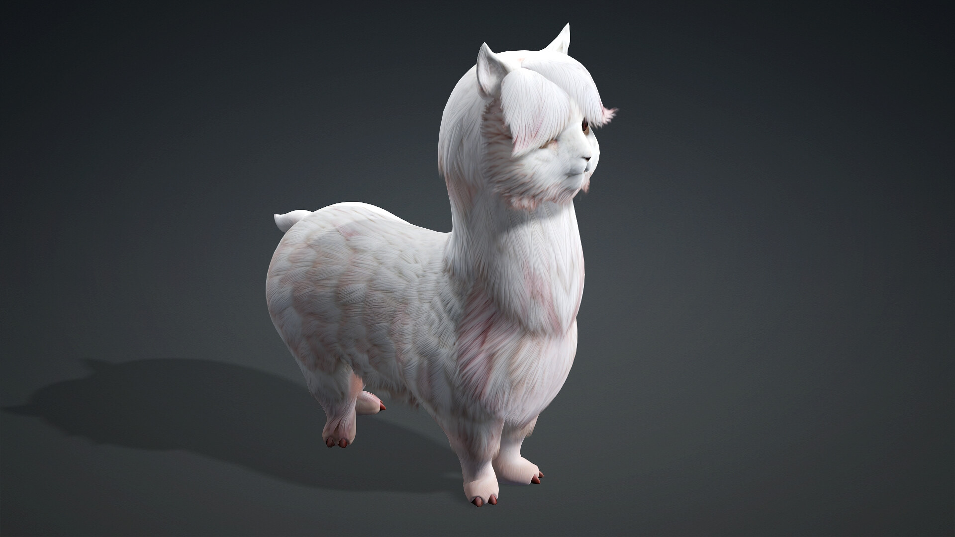 Alpaca-A2-Animated 3D Animation by Animated3d