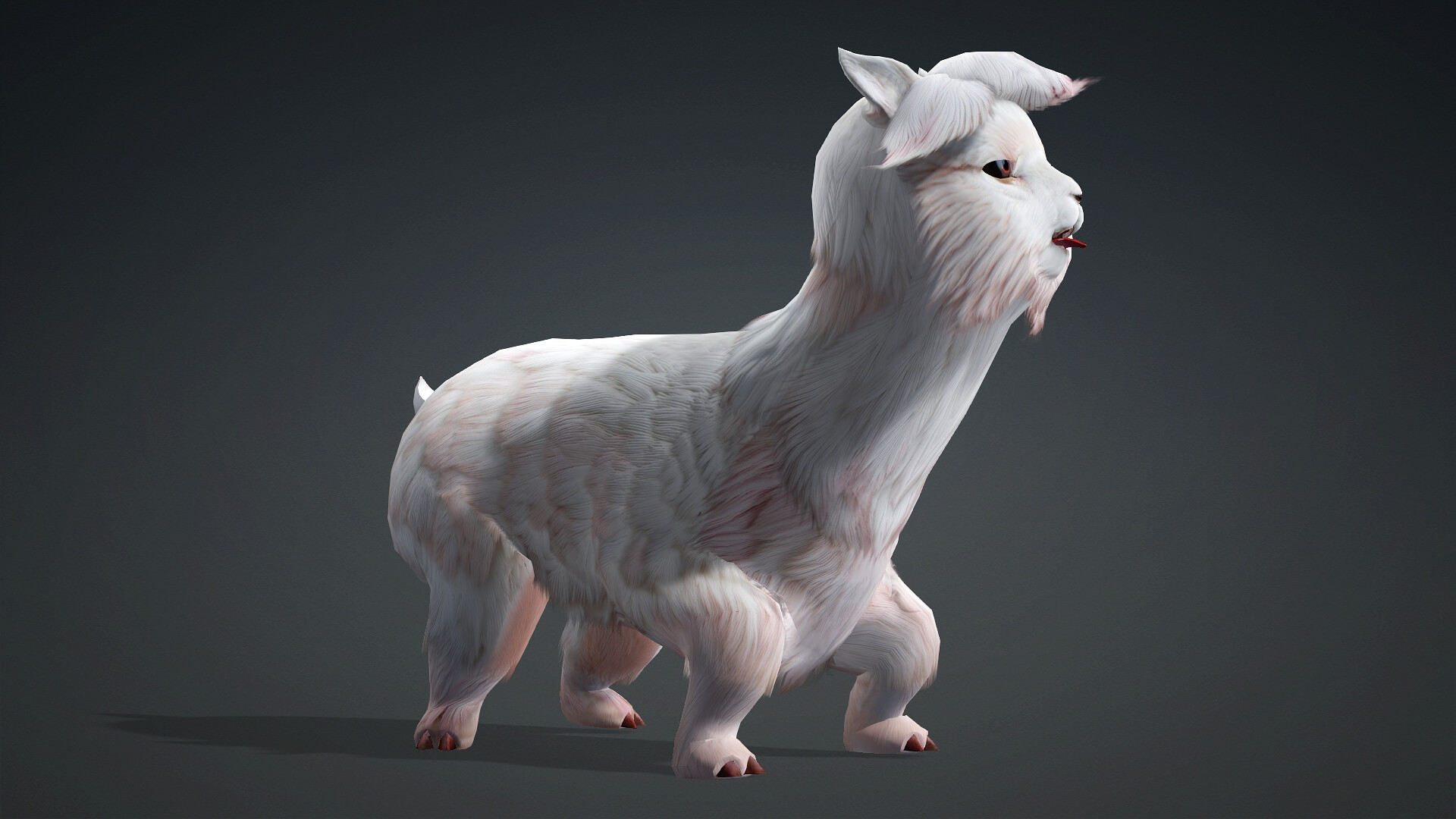 Alpaca-A2-Animated 3D Animation by Animated3d