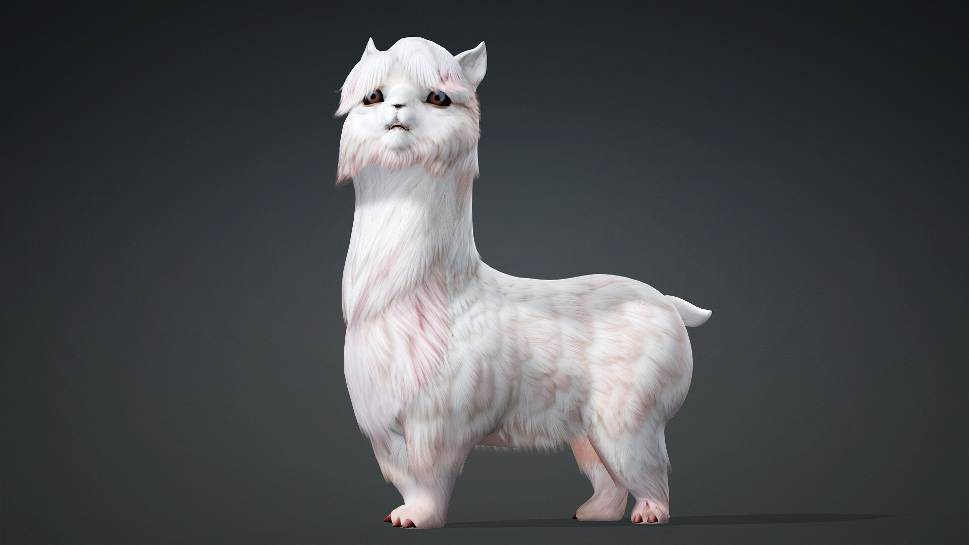 Alpaca-A2-Animated 3D Animation by Animated3d