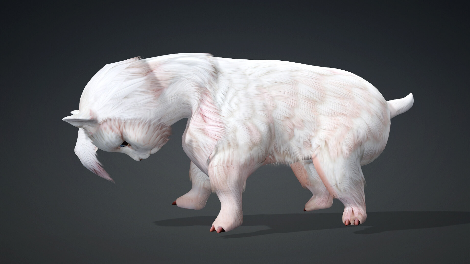 Alpaca-A2-Animated 3D Animation by Animated3d